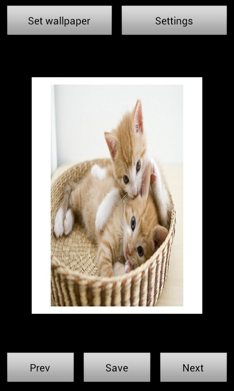 Little Catty Live Wallpapers - App on Amazon Appstore