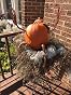 Amazon.com : Plow & Hearth Set of 4 Bendable Pumpkin Arms and Legs ...