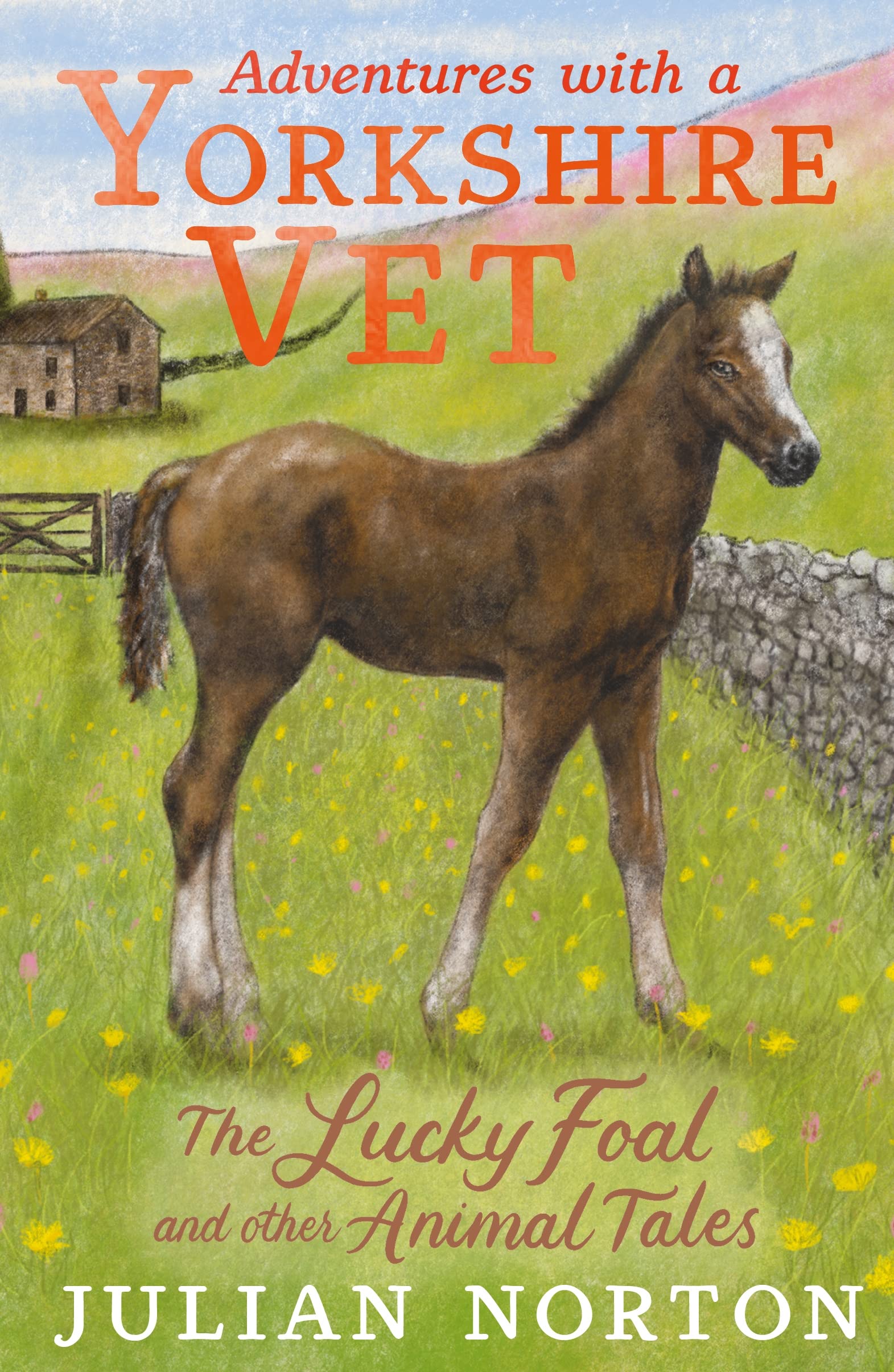 Adventures with a Yorkshire Vet: The Lucky Foal and Other Animal Tales ...