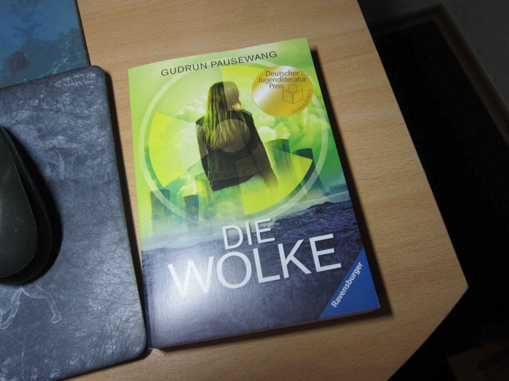 Die Wolke (Ravensburger Taschenbücher) : Gudrun Pausewang, Jens Schmidt ...