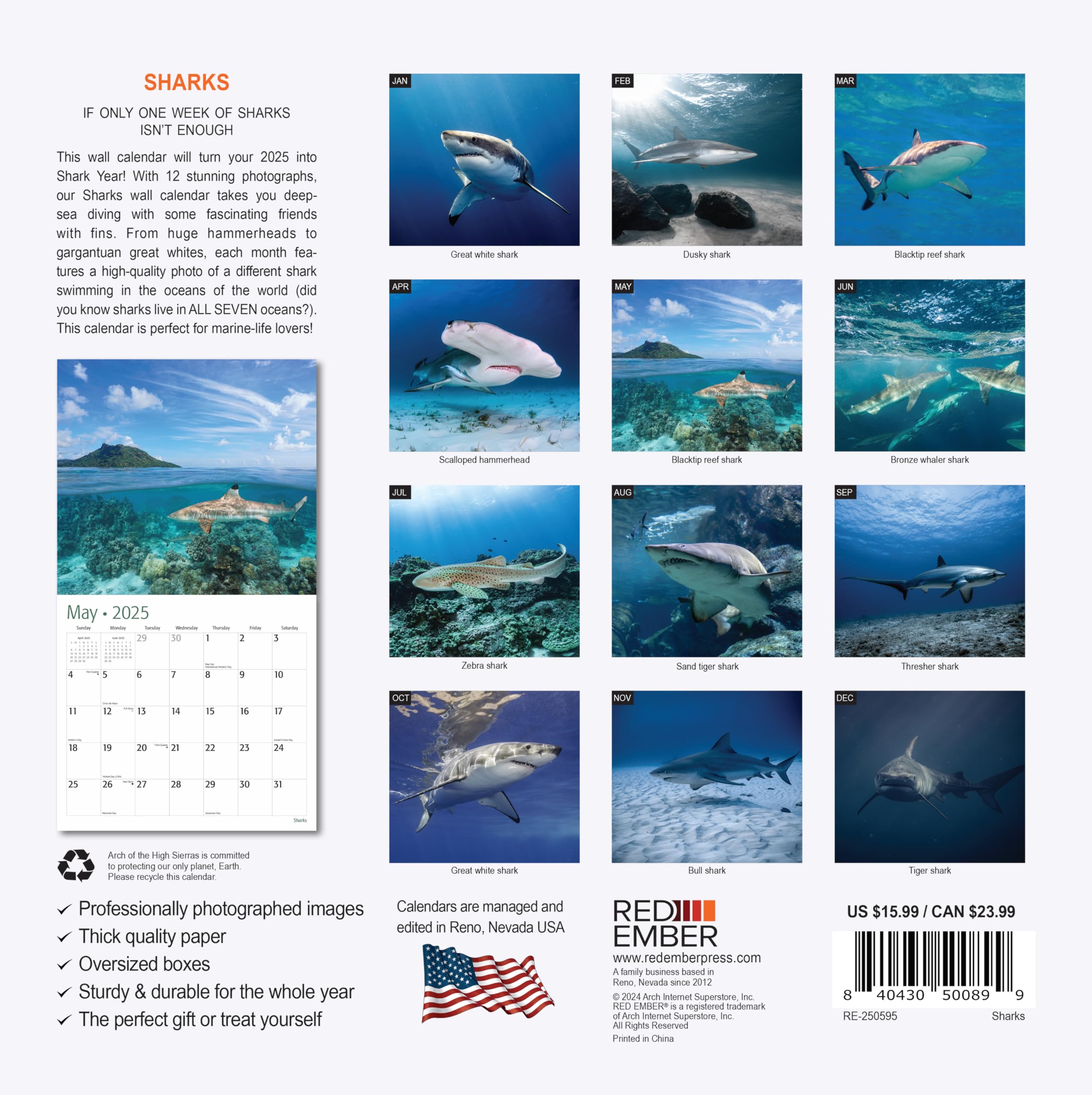 Snapklik.com : Sharks 2025 Wall Calendar 12 Month 12" X 24" Open Thick ...
