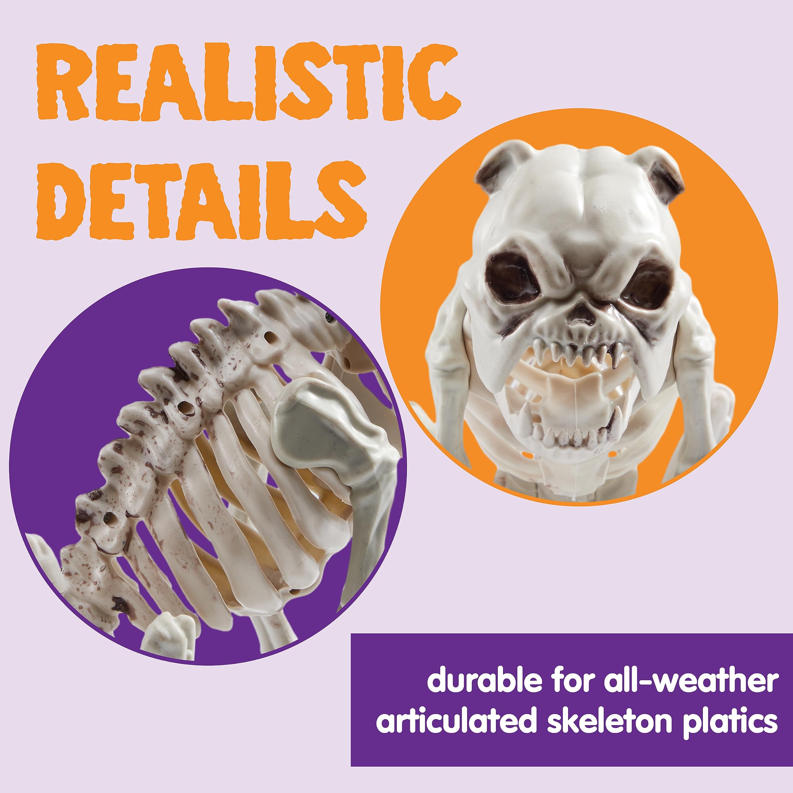 Snapklik.com : JOYIN Halloween Plastic Dog Skeleton 8 Inches Puppy ...