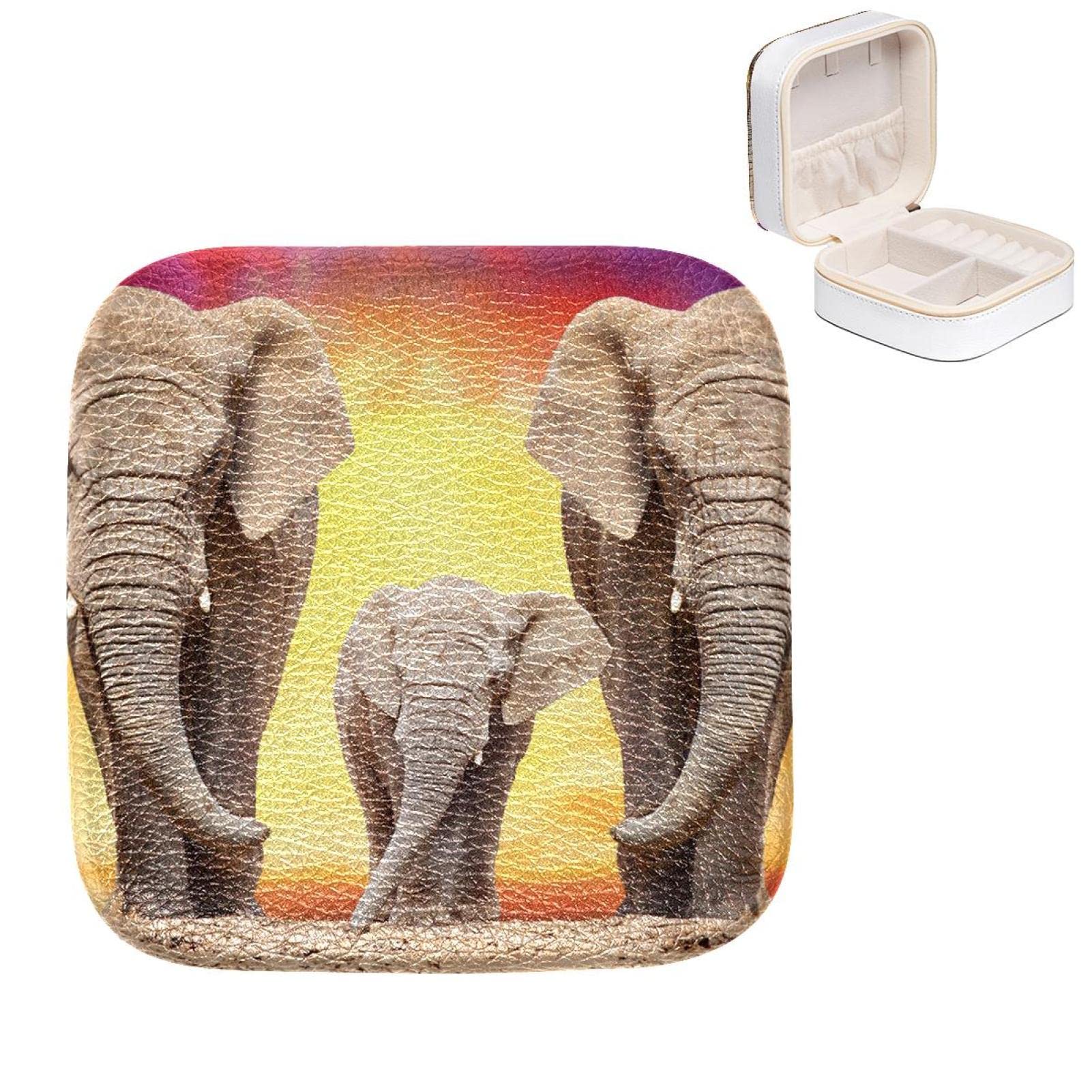 Small African Elephants Family