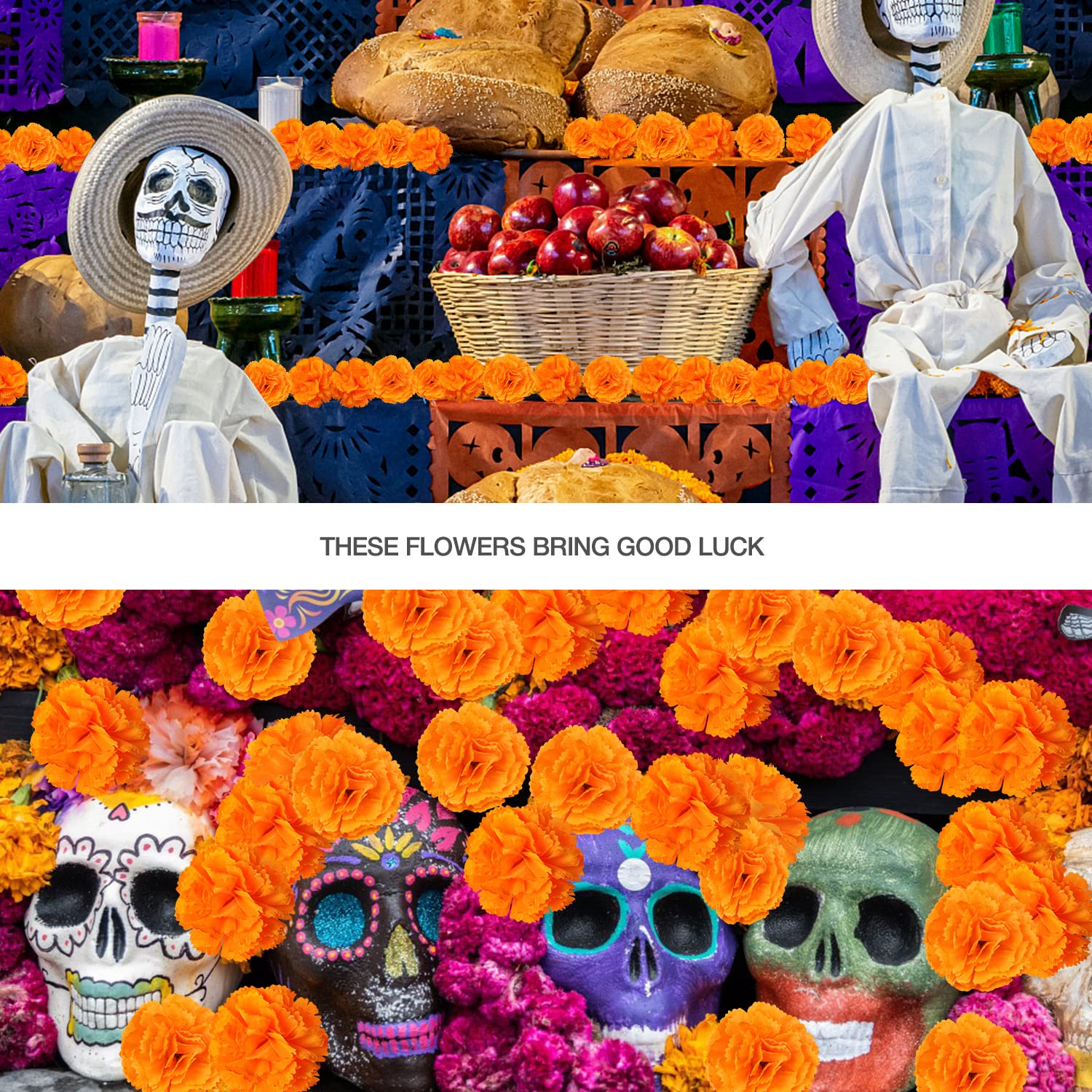 Mexican Tissue Paper Banners Day Of The Dead Decoration Kit - 20 ...