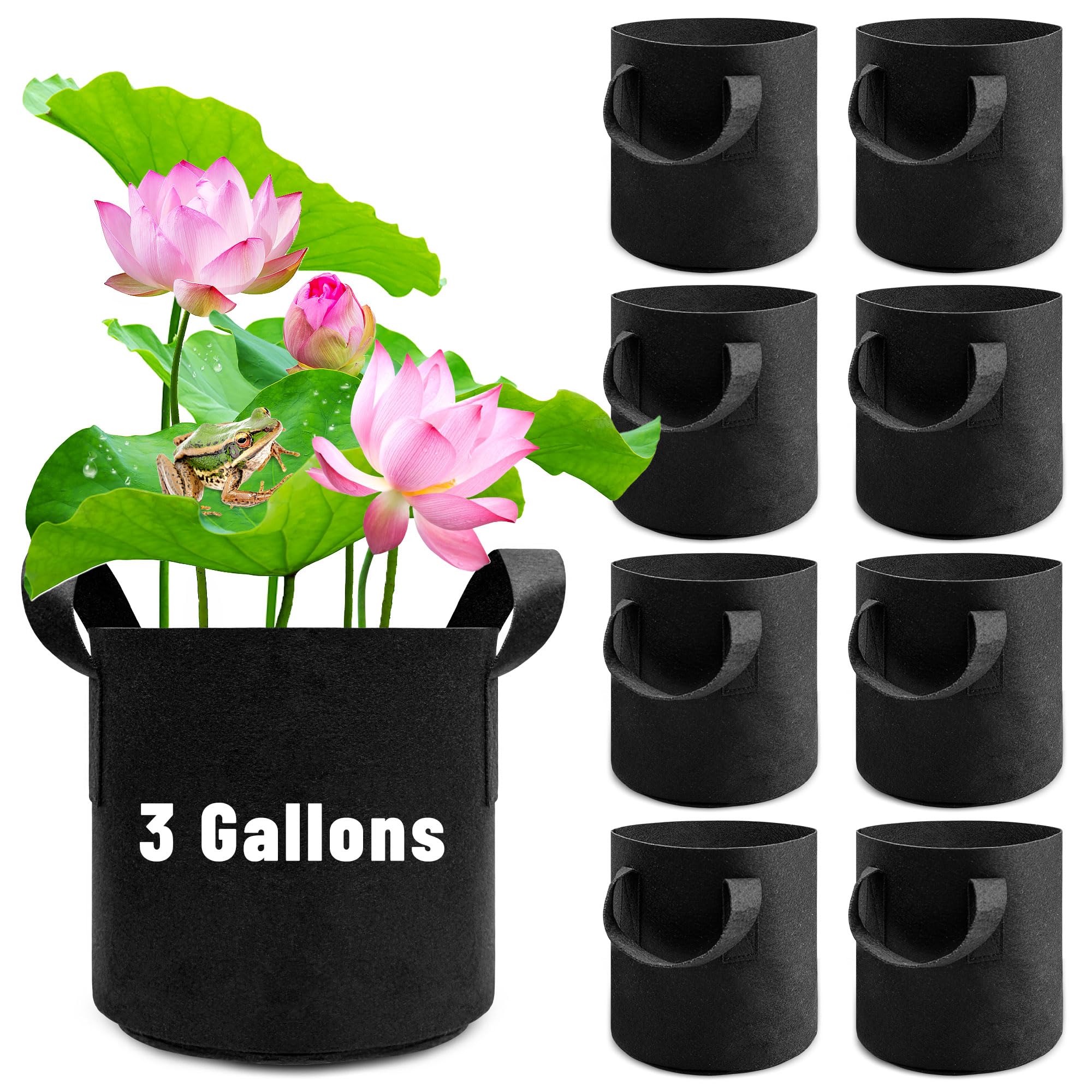 Container Water Lily Plants Pre Grown Water Lilies Kodama Koi Supply