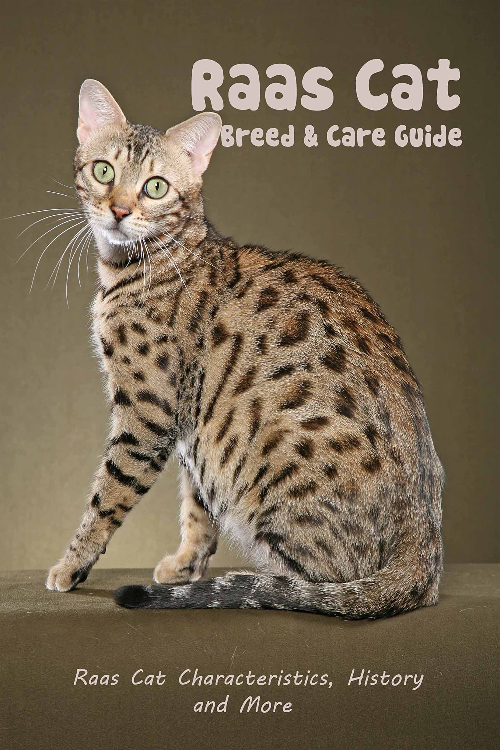 Buy Raas Cat Breed & Care Guide: Raas Cat Characteristics, History and ...