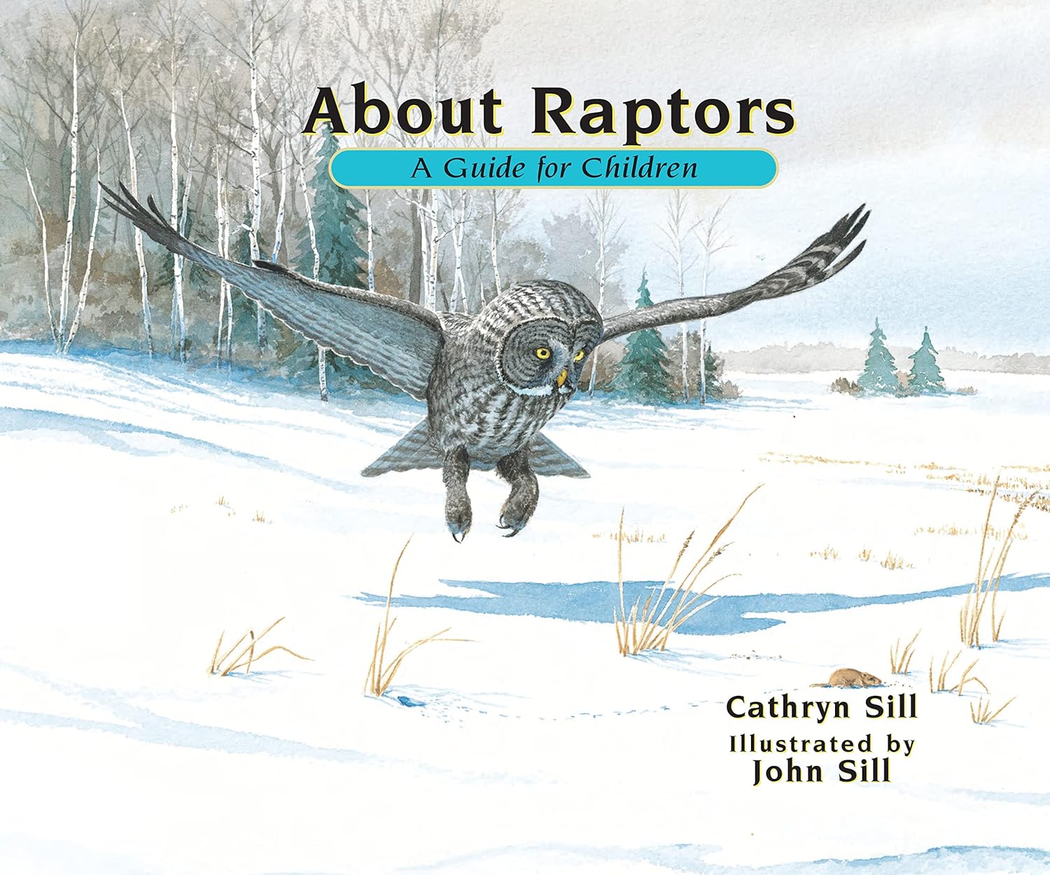 About Raptors: A Guide for Children: Sill, Cathryn, Sill, John ...