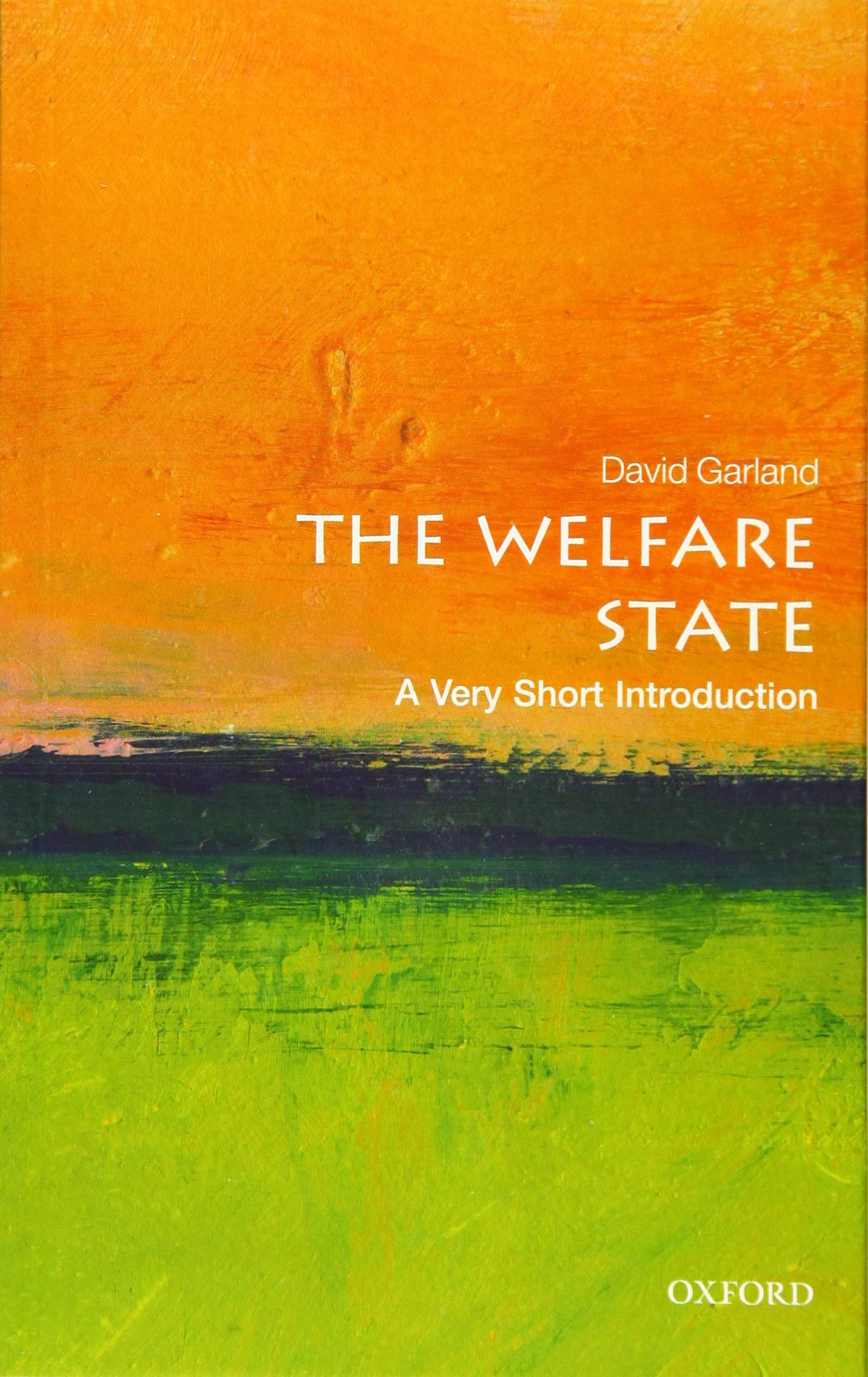 The Welfare State: A Very Short Introduction (Very Short Introductions ...