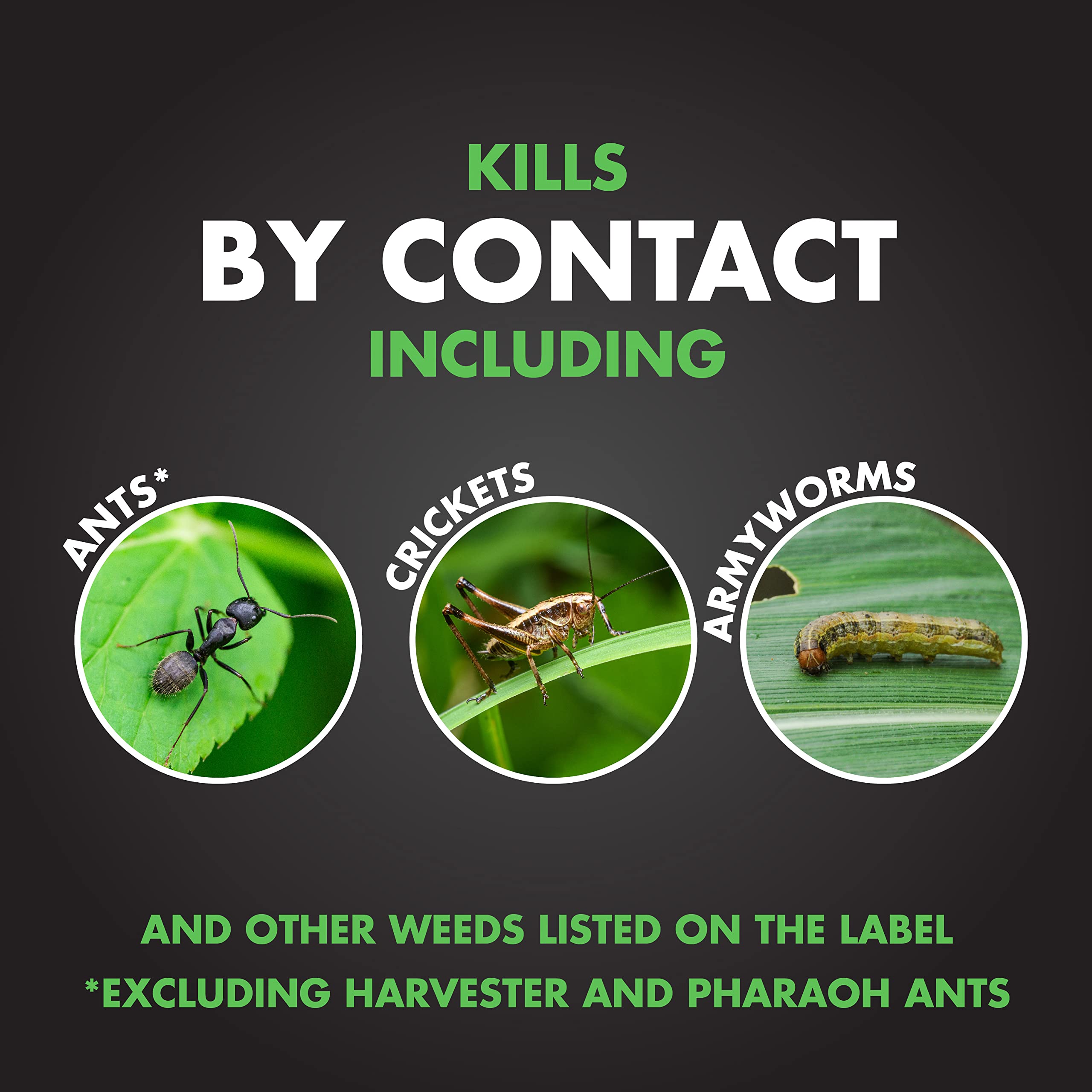 SPECTRUM BRANDS 53944, 10-Pound Spectracide Triazicide Insect Killer ...