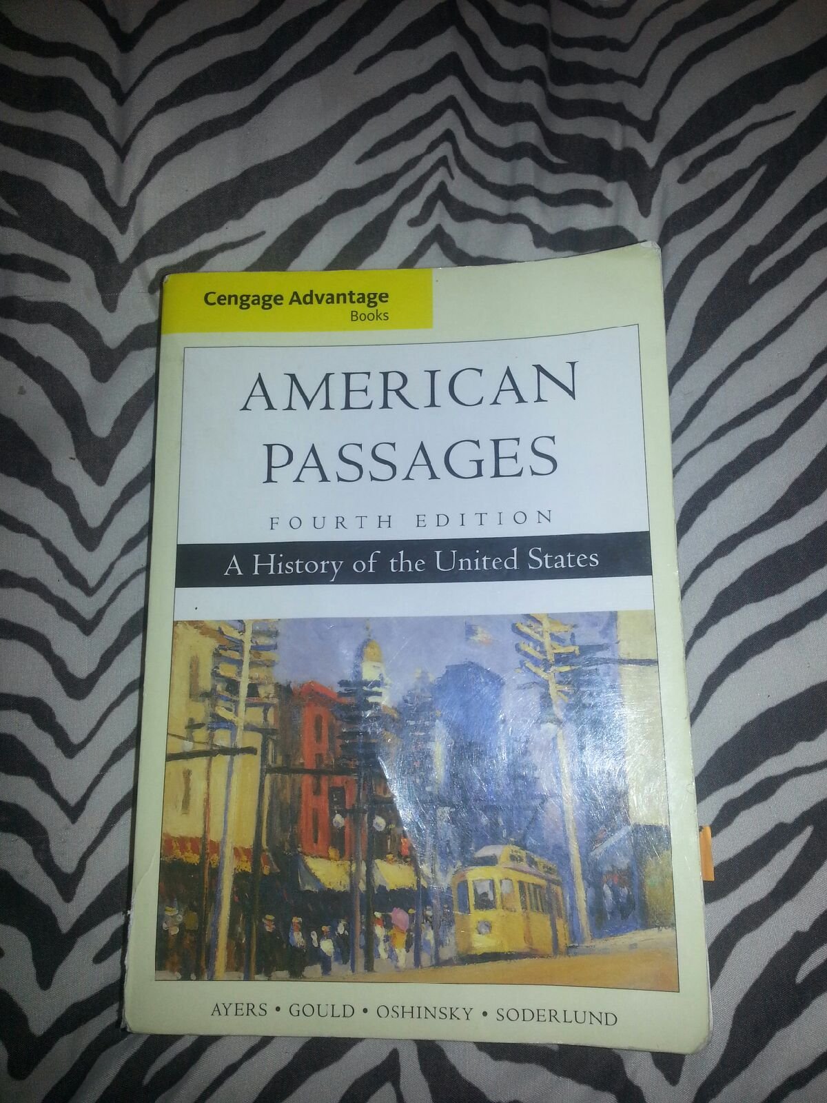 Cengage Advantage Books: American Passages: A History of the United ...