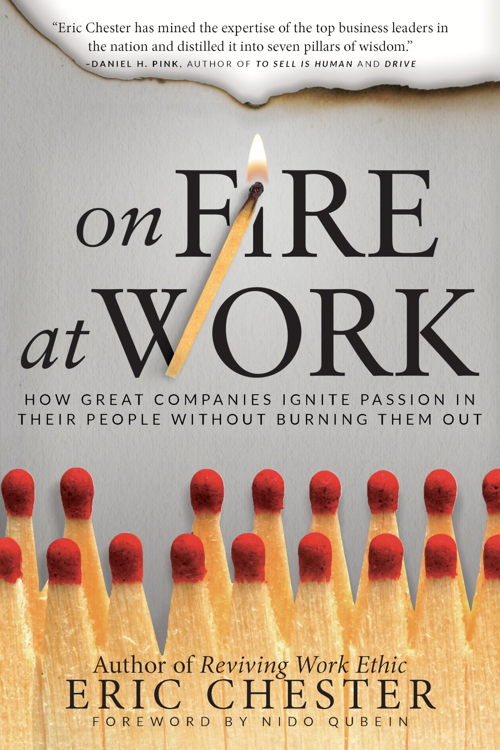On Fire at Work: How Great Companies Ignite Passion in Their People ...