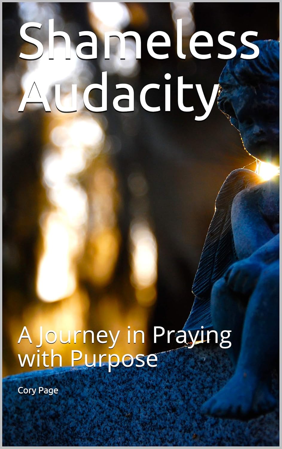 Shameless Audacity: A Journey in Praying with Purpose - Kindle edition ...