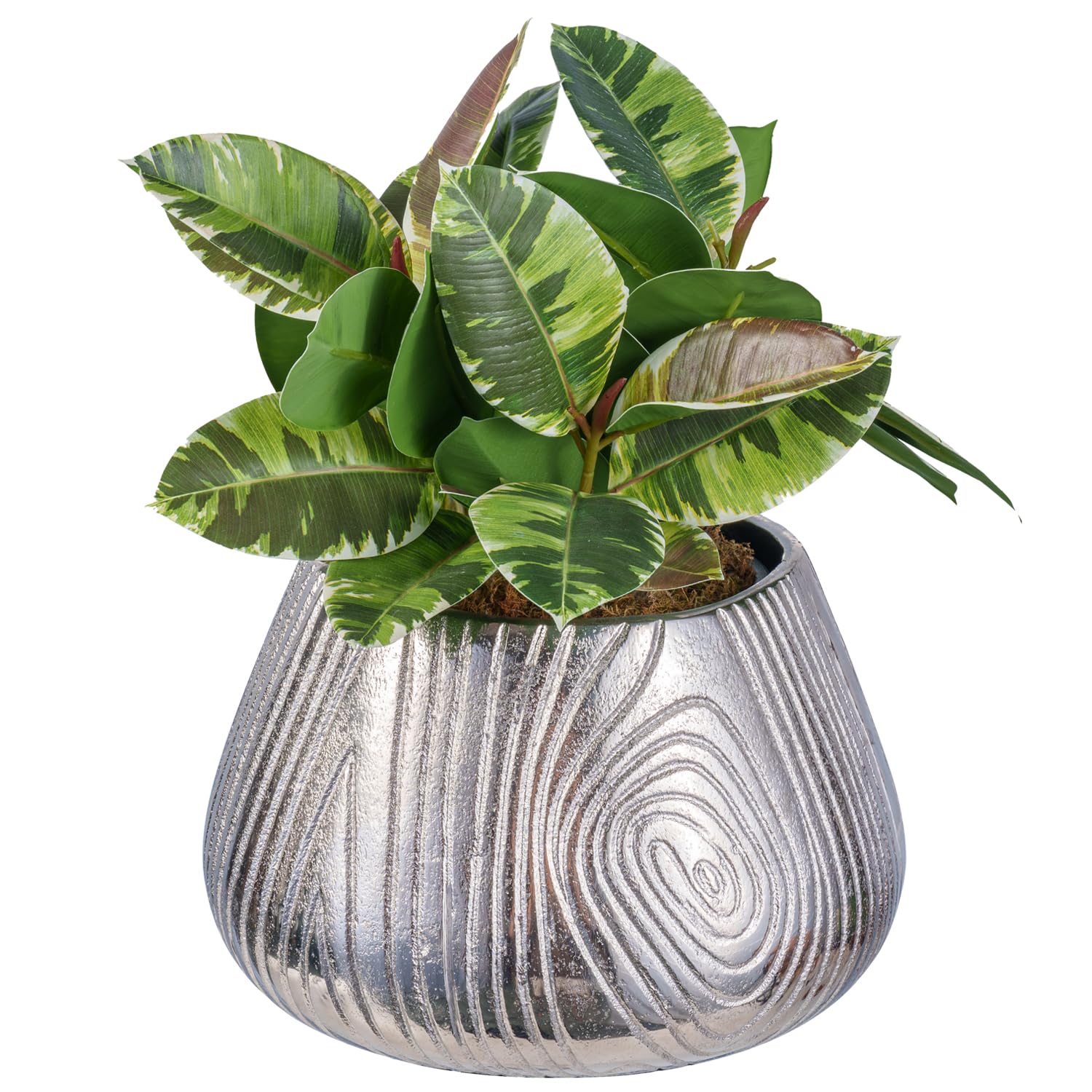 Amazon.com : MyGift 9 Inch Round Handcrafted Modern Silver Tone ...