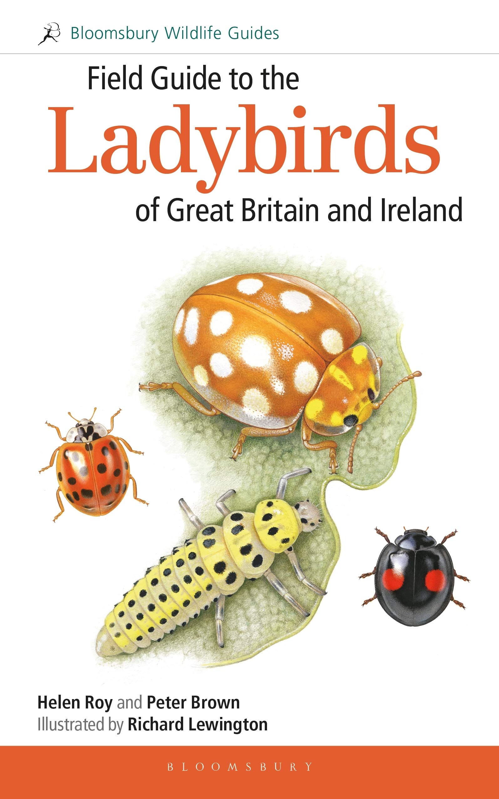 Field Guide to the Ladybirds of Great Britain and Ireland (Bloomsbury ...