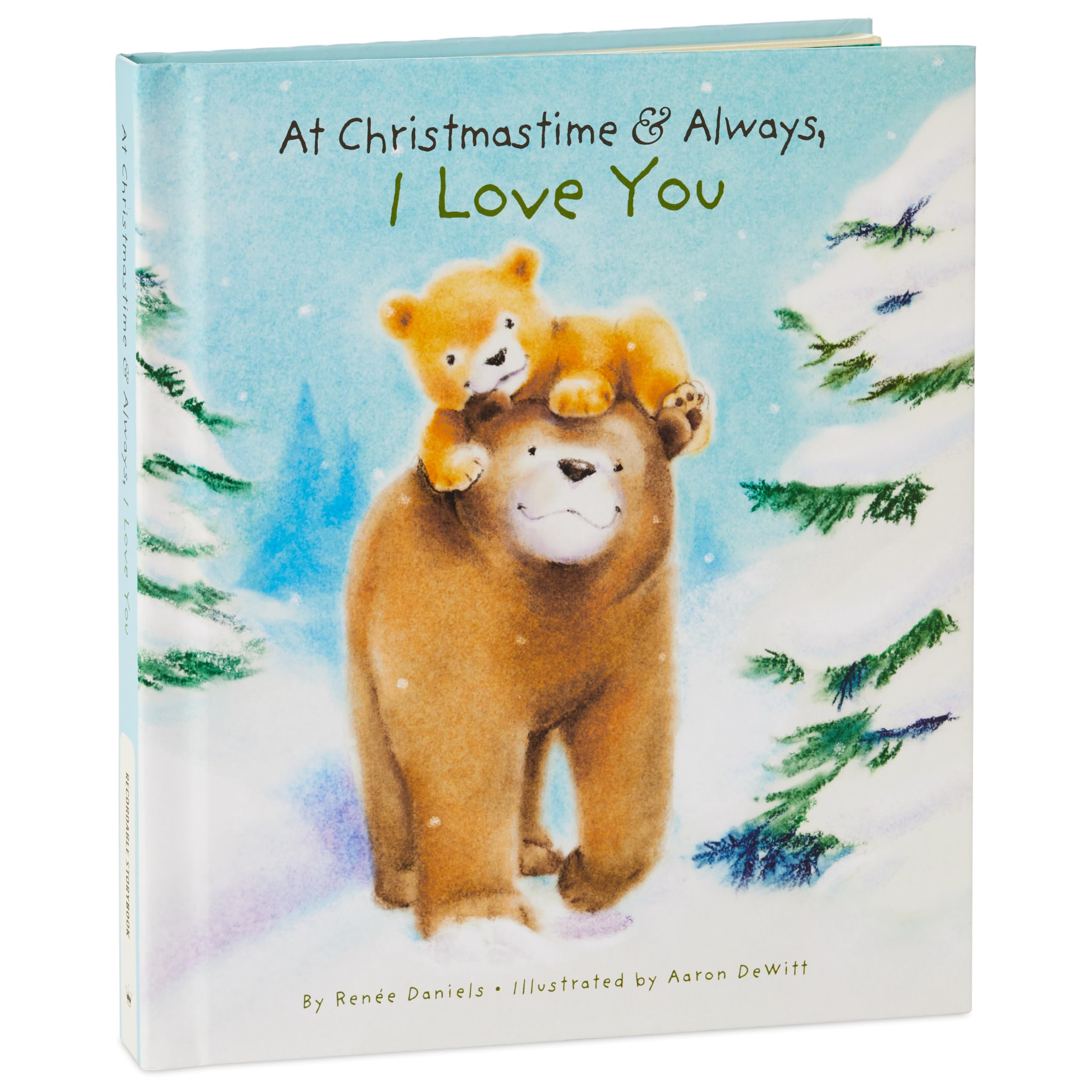 Amazon.com: Hallmark Recordable Book for Children (at Christmastime ...