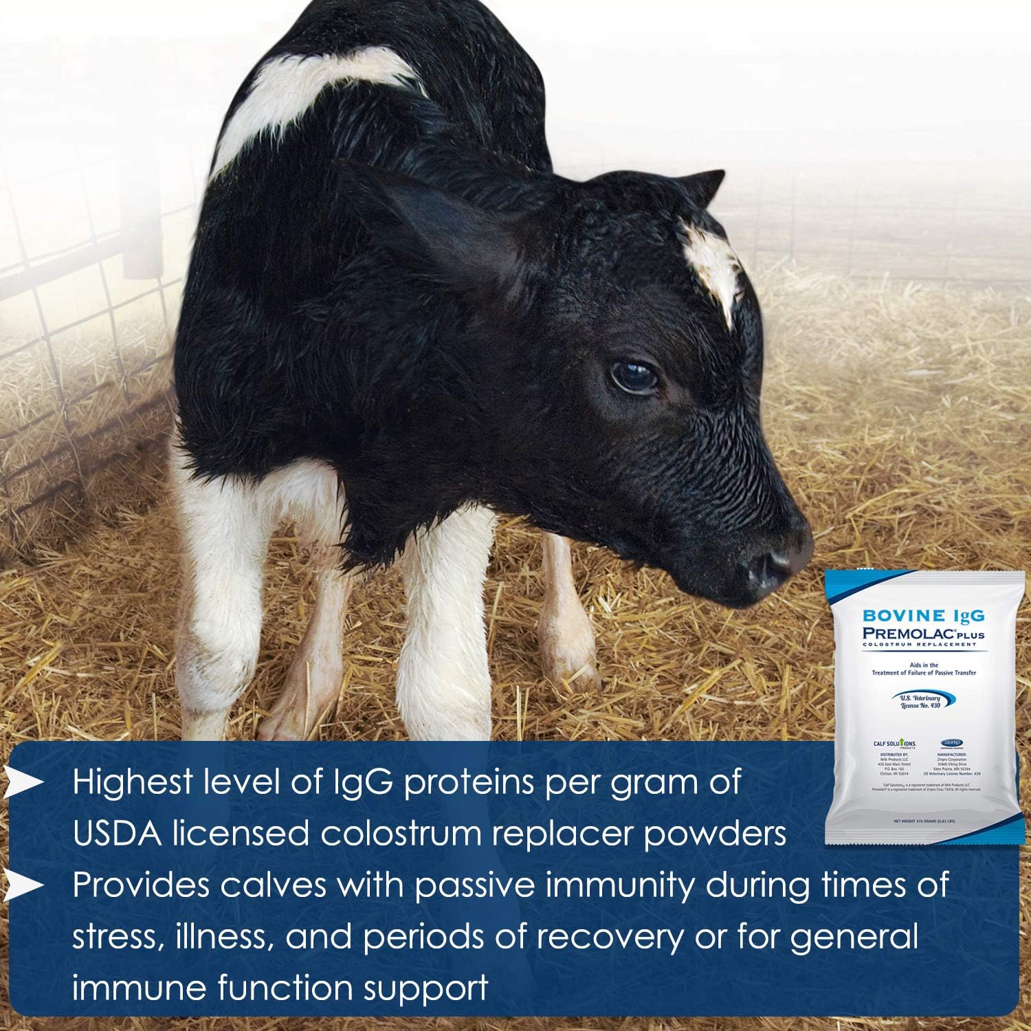 Buy Premolac Bovine Immunoglobulins (IgG) Plus Milk Replacement Powder ...