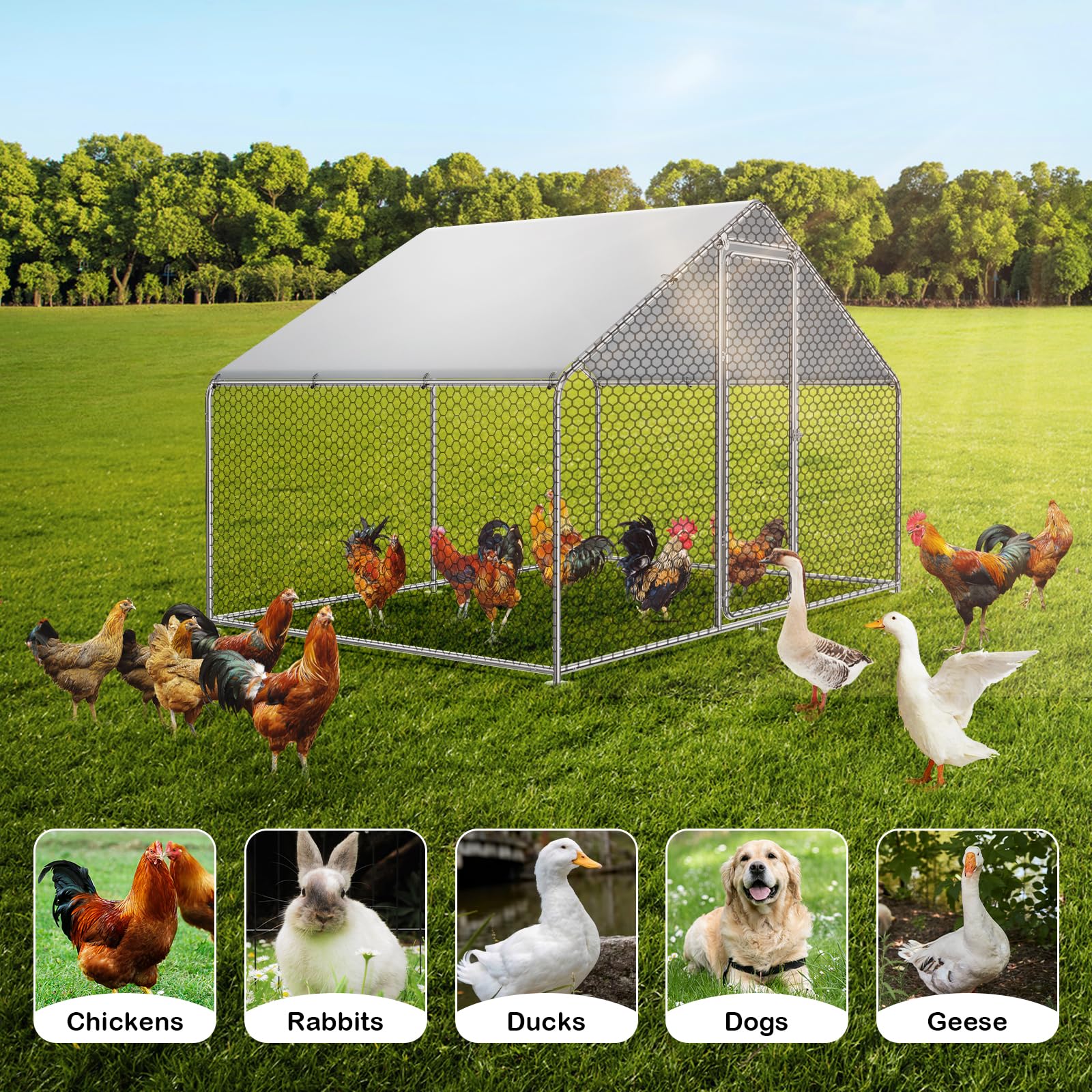Snapklik.com : RITSU Large Metal Chicken Coop Run For 6/10 Chickens ...