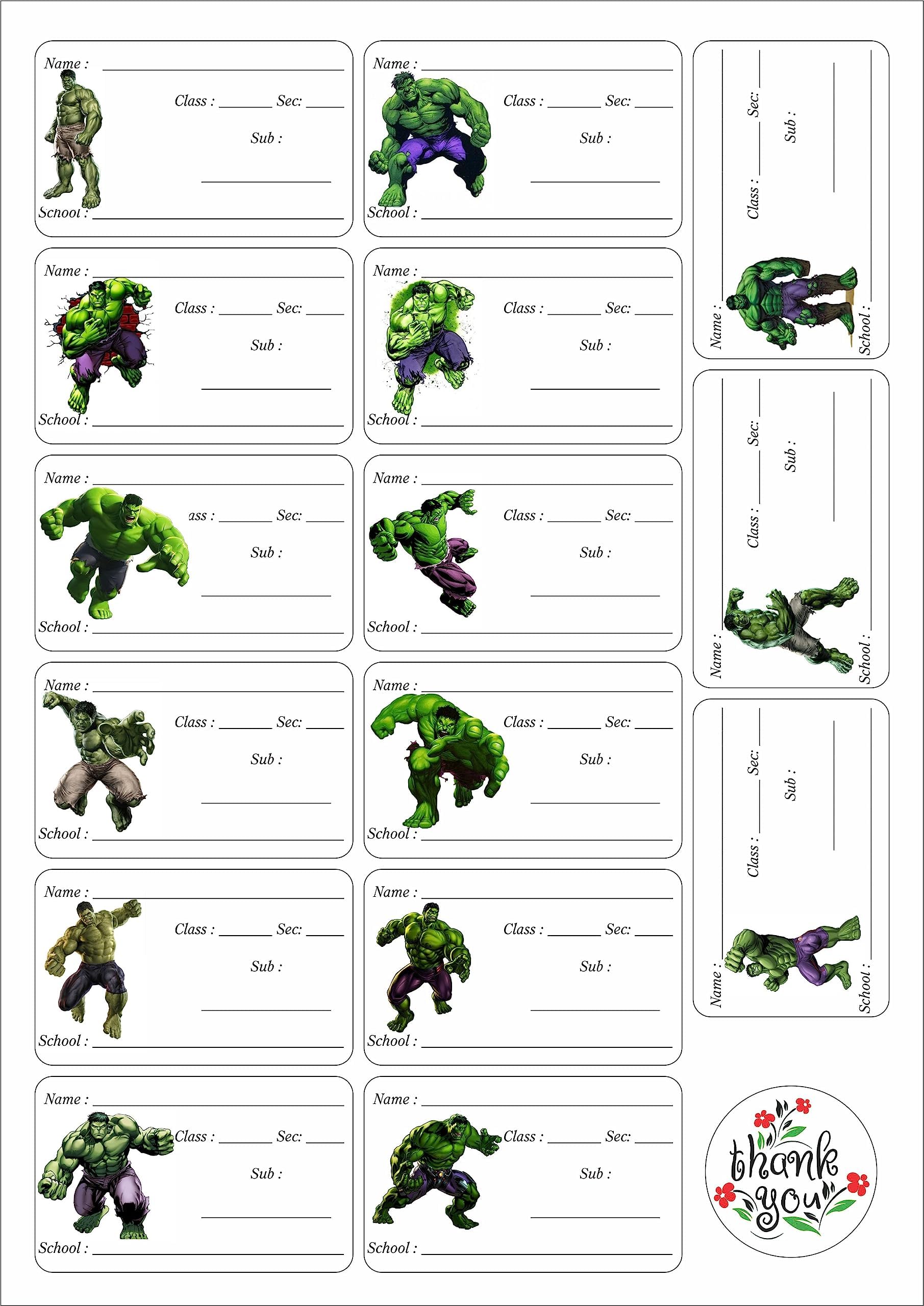 SRIS Hulk Sticker Student Book Sticker Name Slip for School Books 30 ...