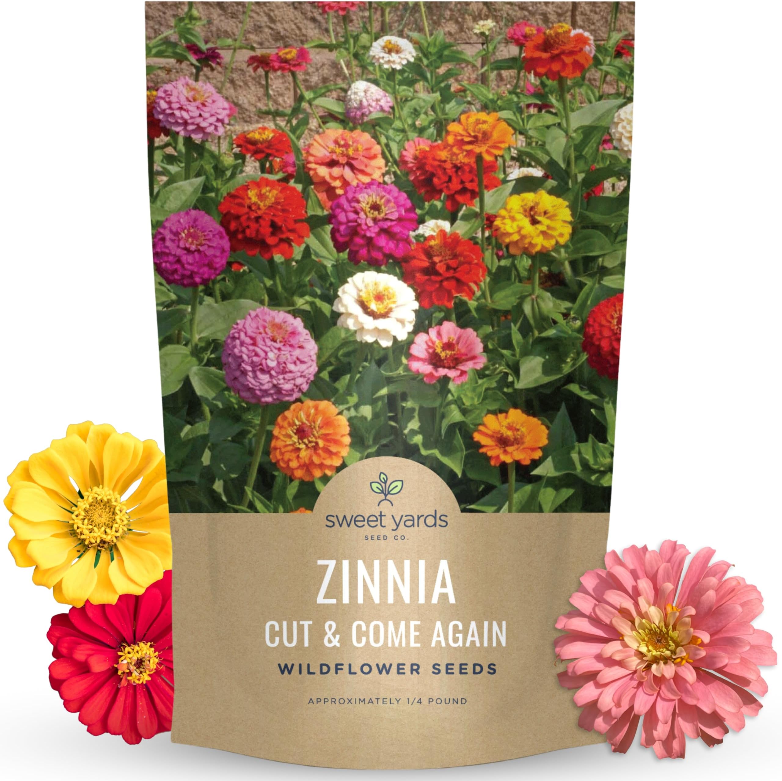 Amazon.com : Rare Flower Plant Seeds 100+ Zinnia Seeds - Faberge Mix ...