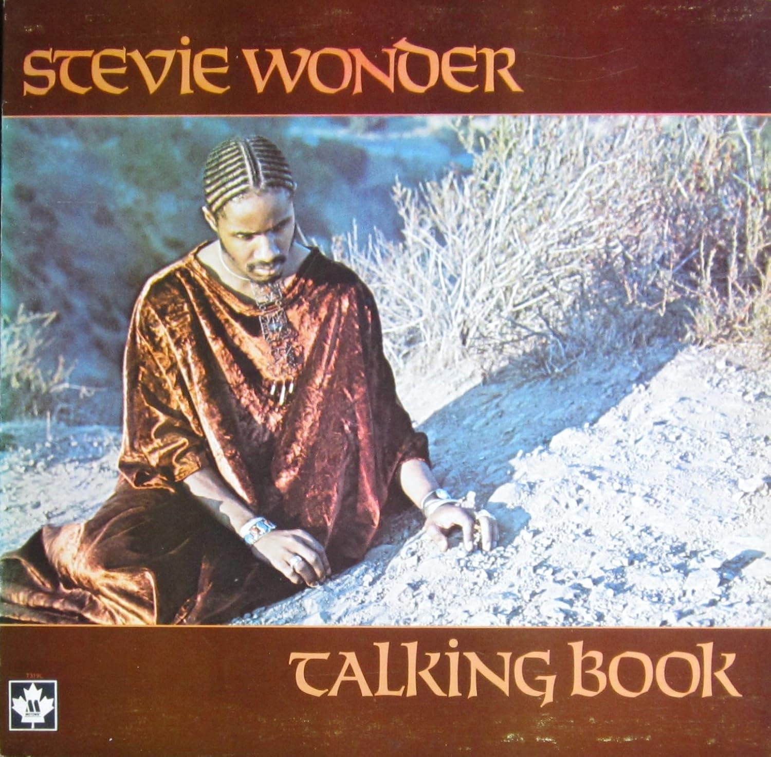 Amazon.com: Talking Book: CDs & Vinyl