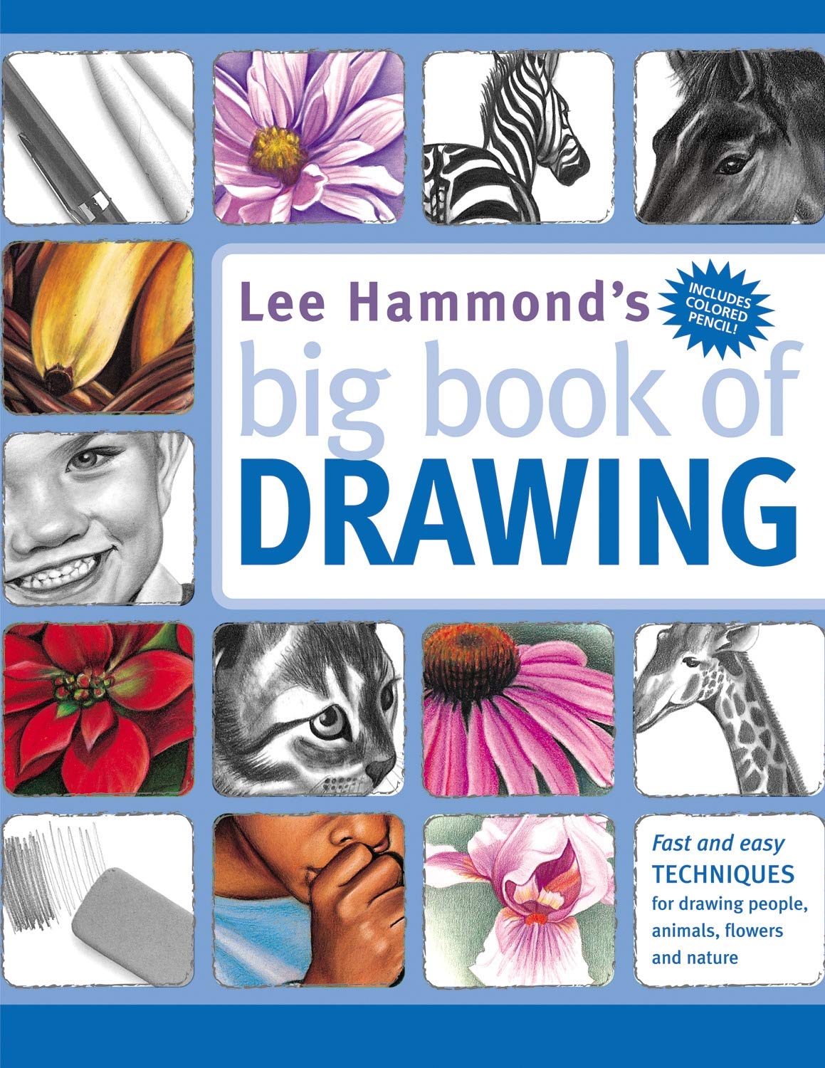 Lee Hammond's Big Book of Drawing: Hammond, Lee: 9781581804737: Amazon ...