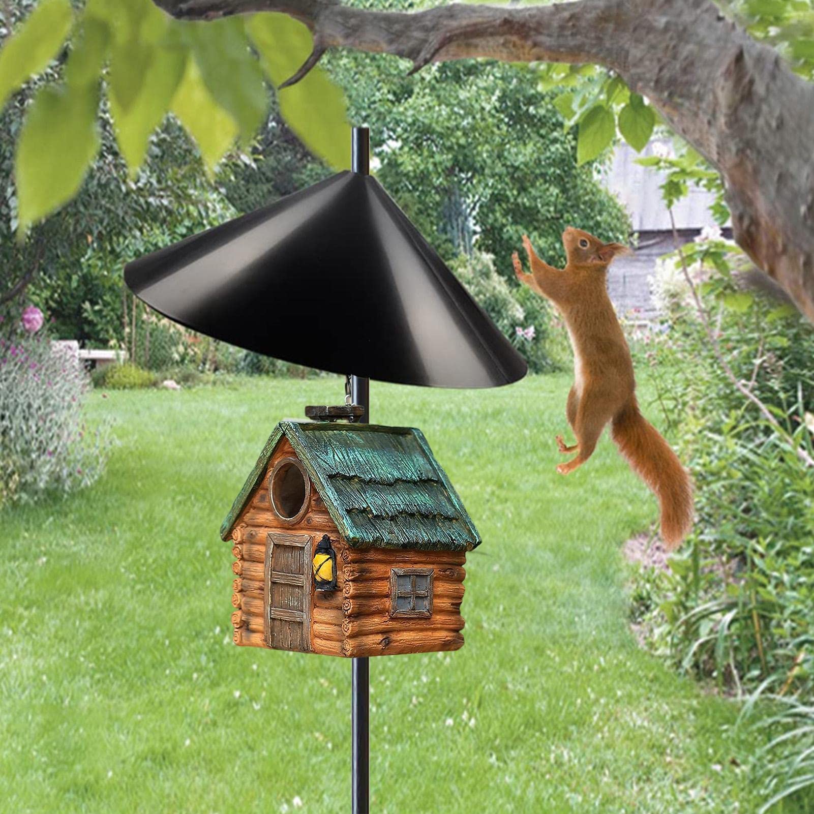 Raccoon Squirrel Proof Bird Feeders How To Make A Unique Squirrel