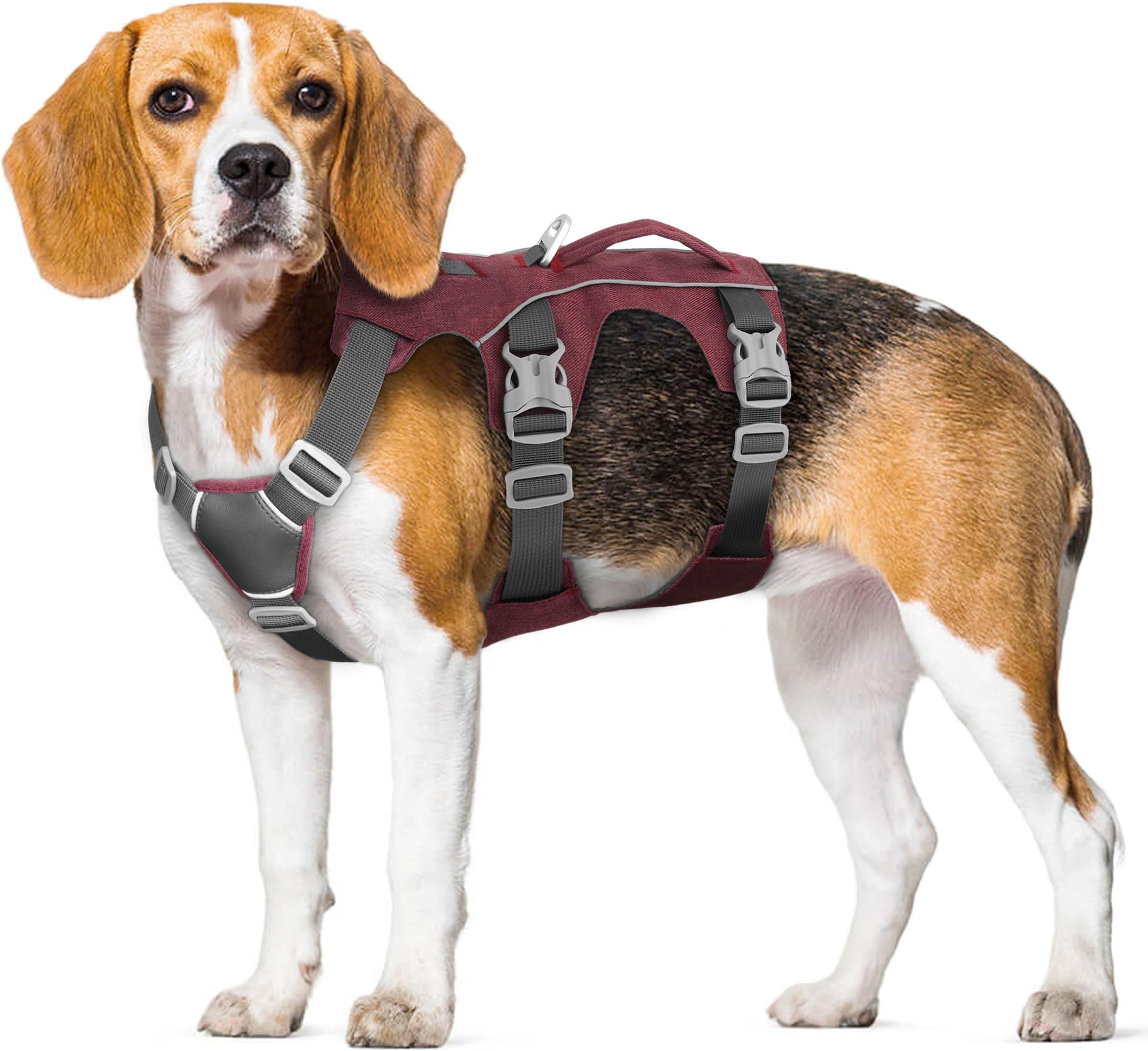 Amazon.com : rabbitgoo Escape Proof Dog Harness, Soft Padded Full Body ...
