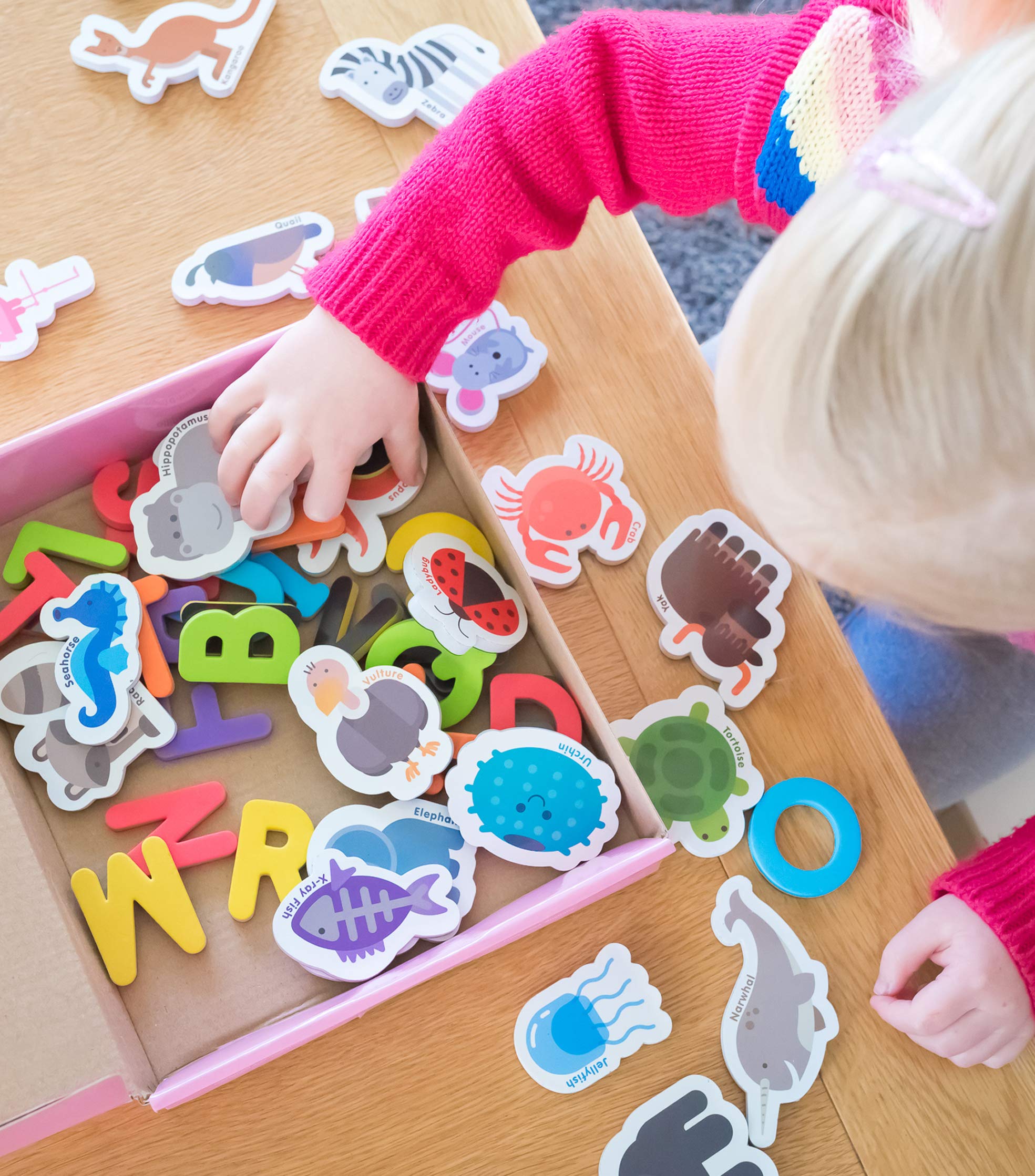 Curious Columbus Animal Magnets for Kids | Set of 52 Magnetic Animals ...