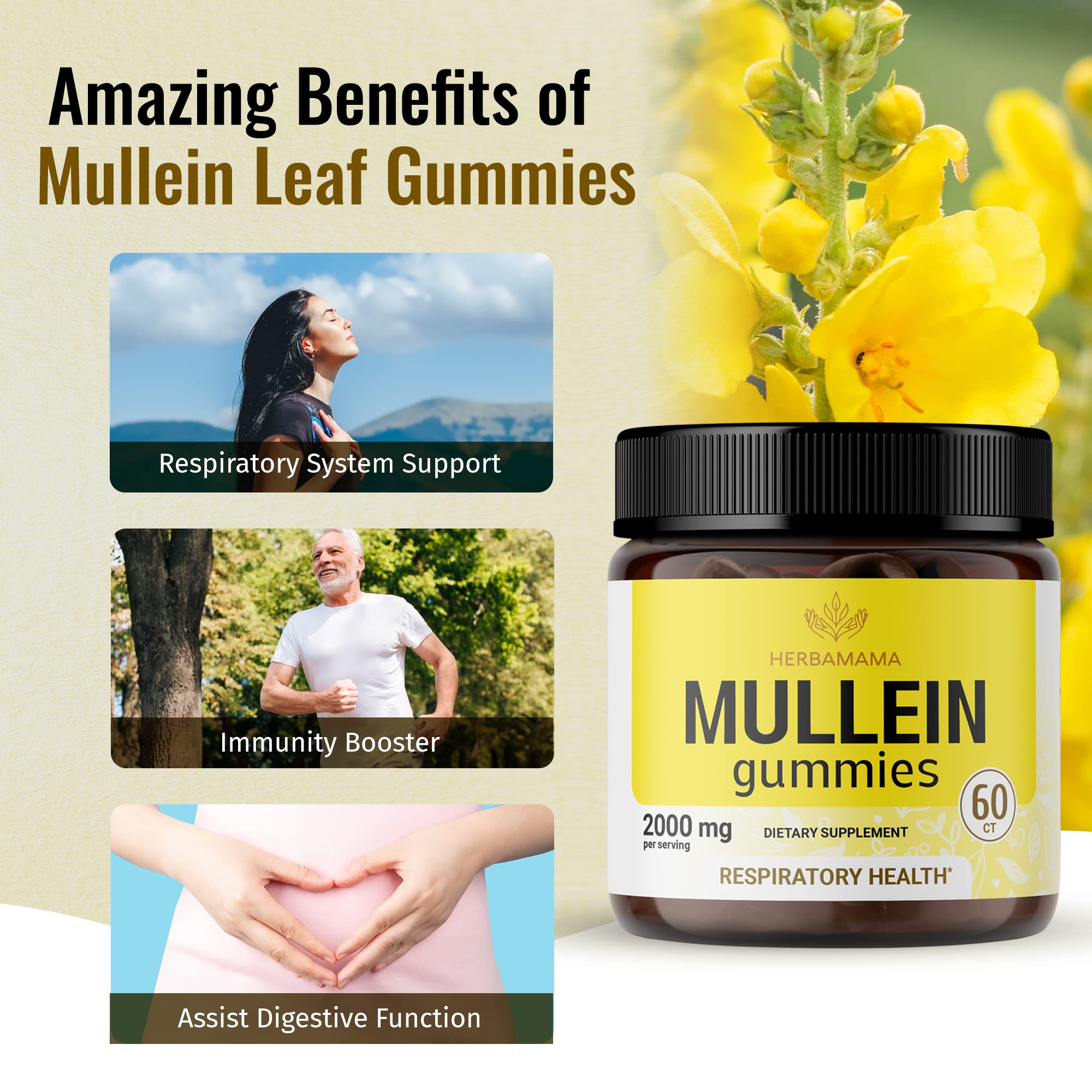 Snapklik.com : HERBAMAMA Mullein Gummies - Mullein Leaf Dietary ...