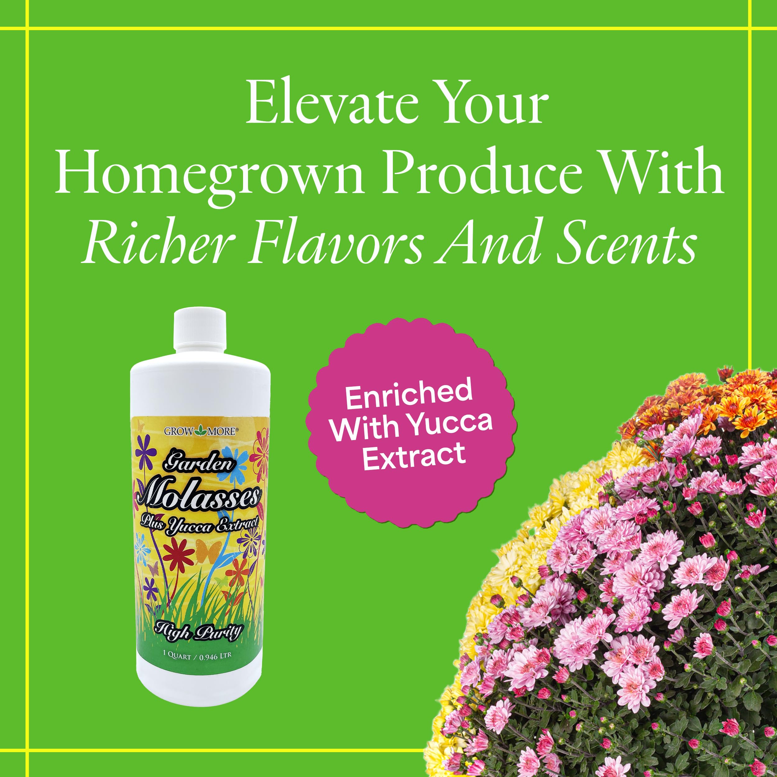 Molasses Plant Biona Organic Blackstrap Molasses | Evergreen