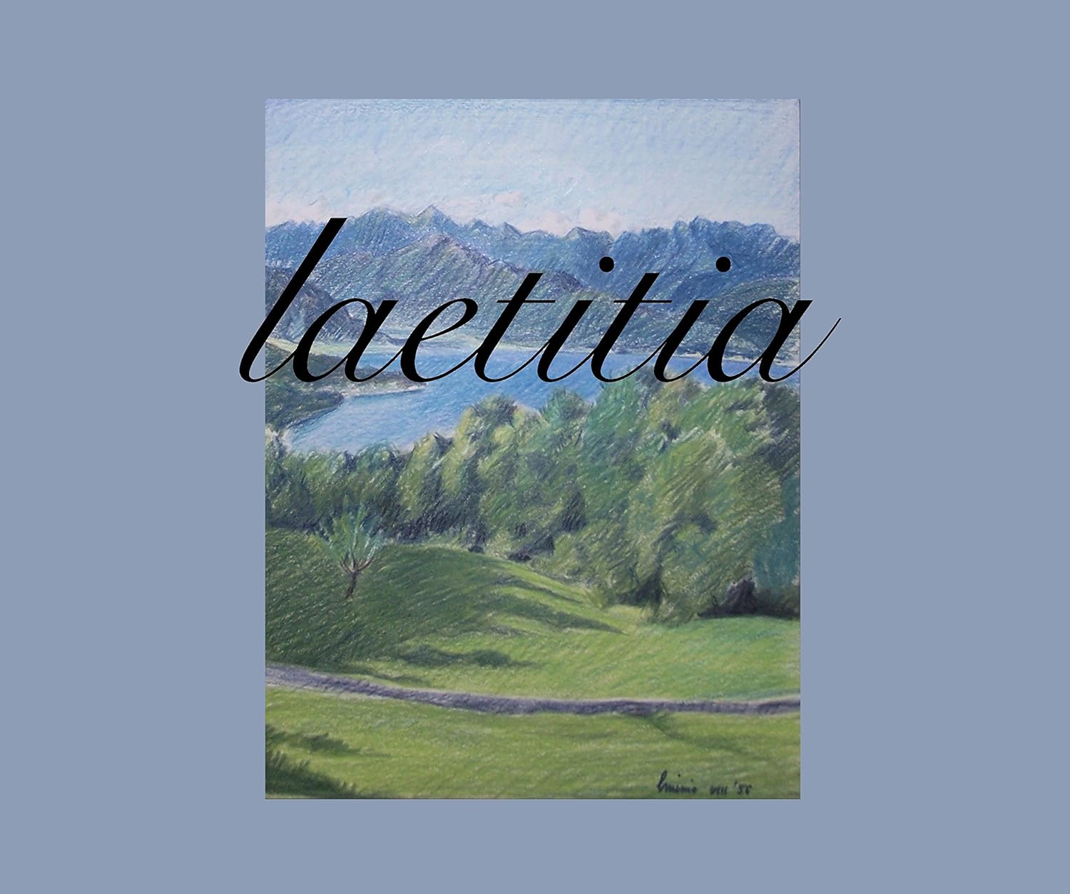 Laetitia: Valeria Carli Volpati: 9781320706445: Amazon.com: Books