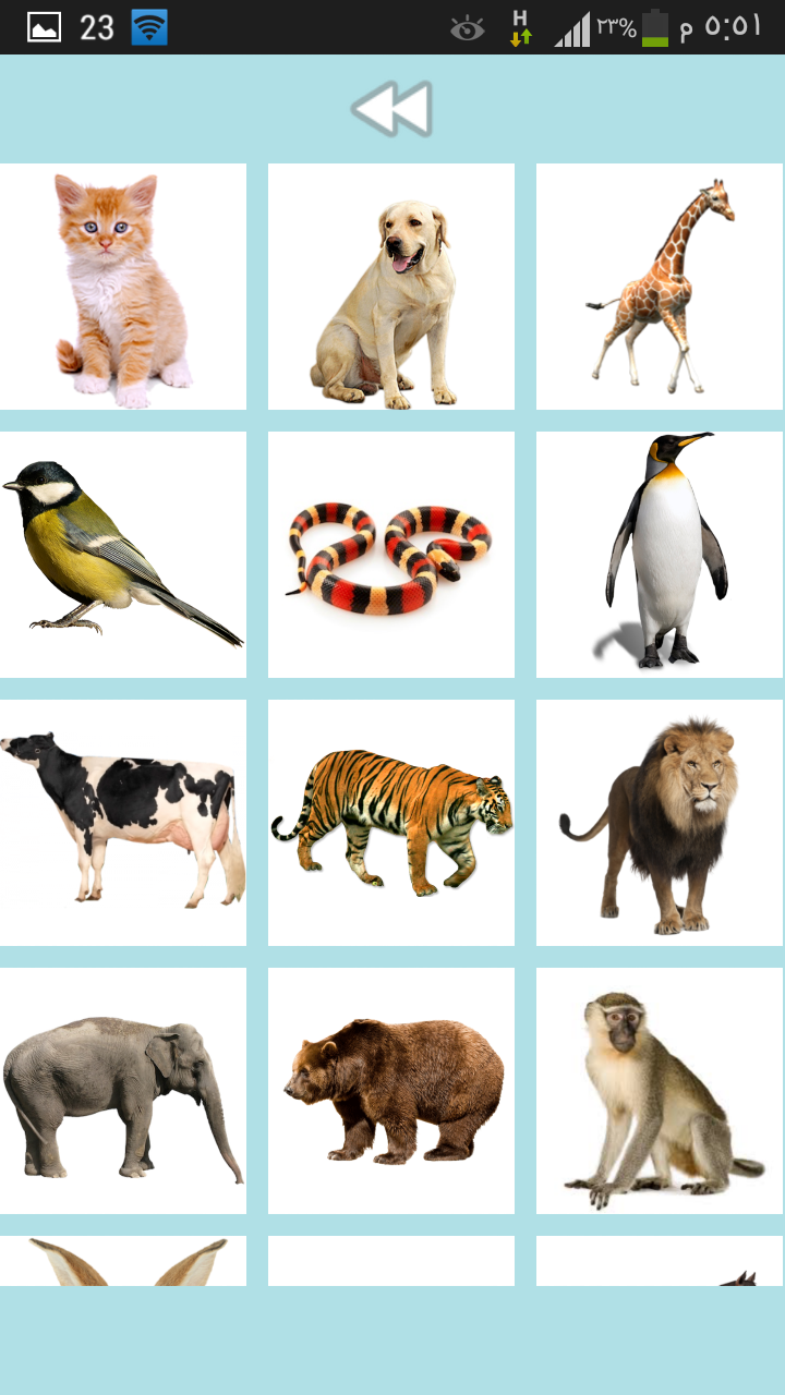 Kids Album:Colors,Animal,Fruit - App on Amazon Appstore