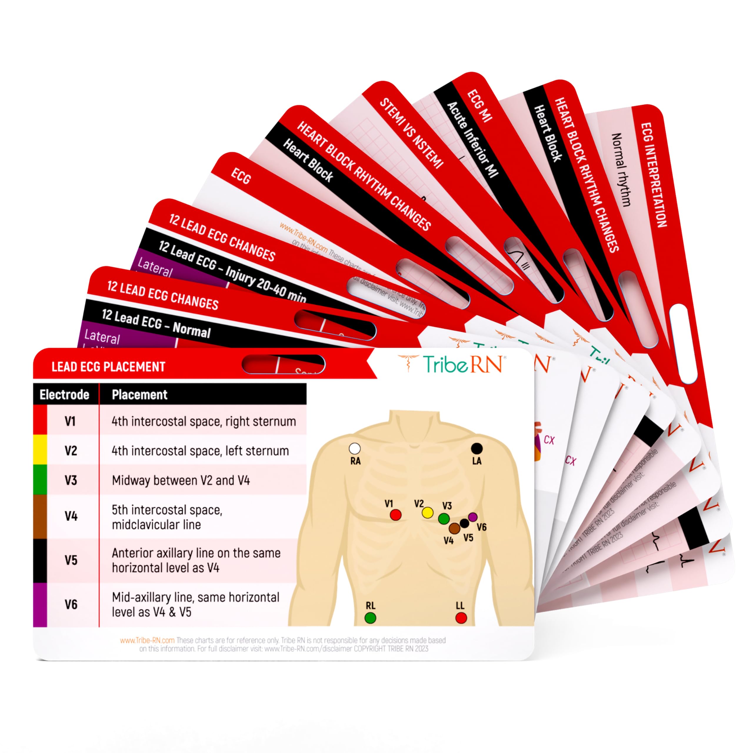 Snapklik.com : Badge Guru EKG/ECG Medical Flash Cards - Reference Cards ...