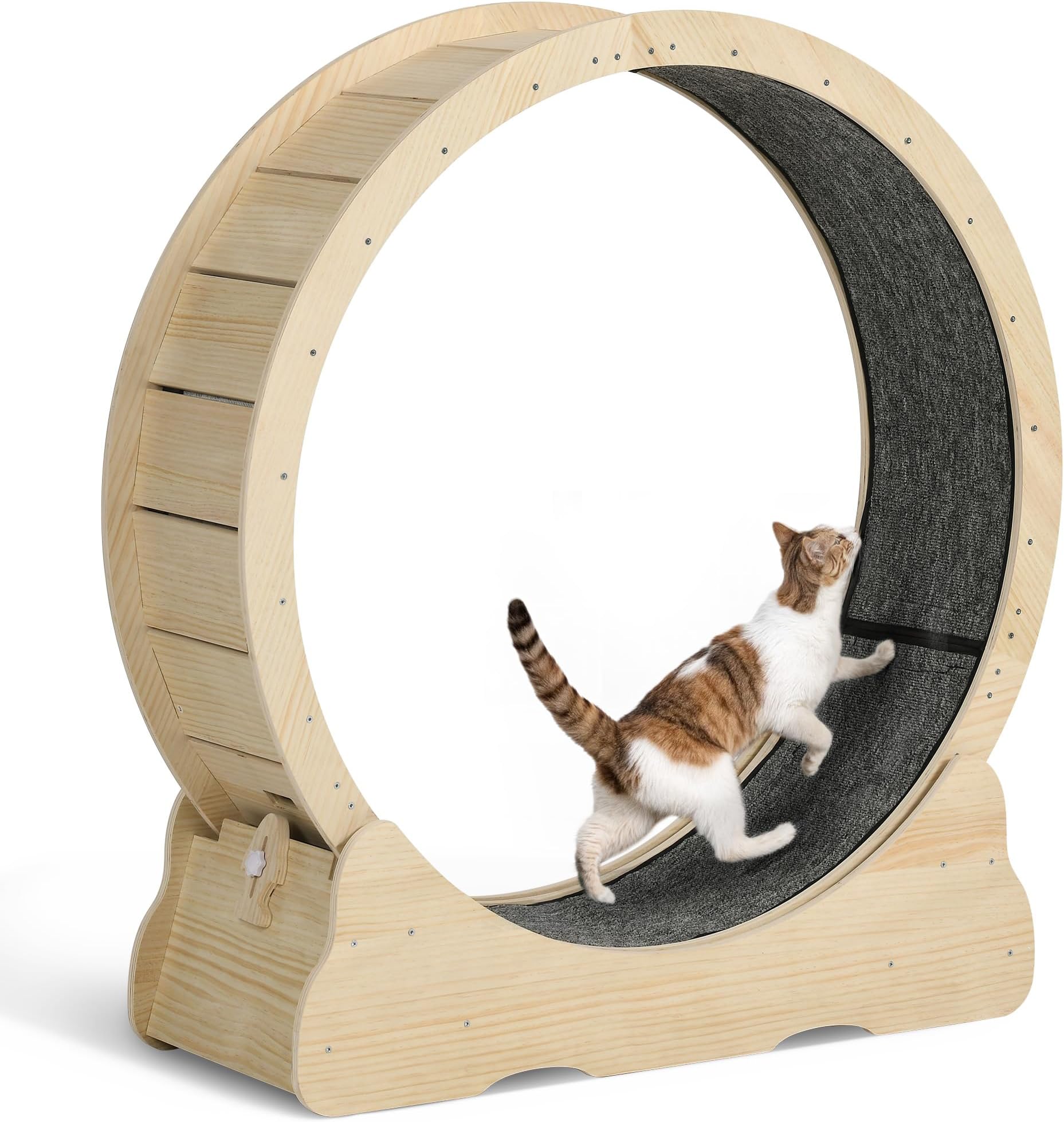 Amazon.com: Cat Exercise Wheel for Indoor Cats 40 inch - Large Cat ...