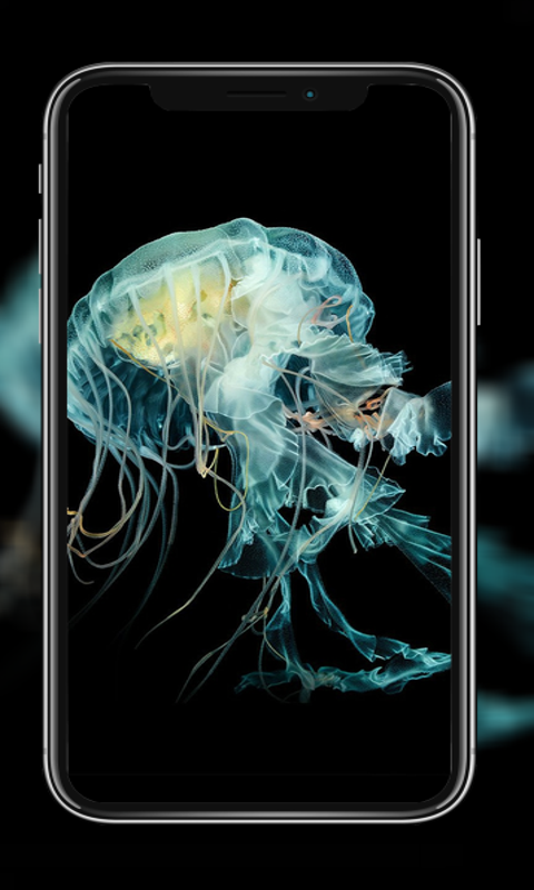 Jellyfish Wallpaper HD:Amazon.co.uk:Appstore for Android