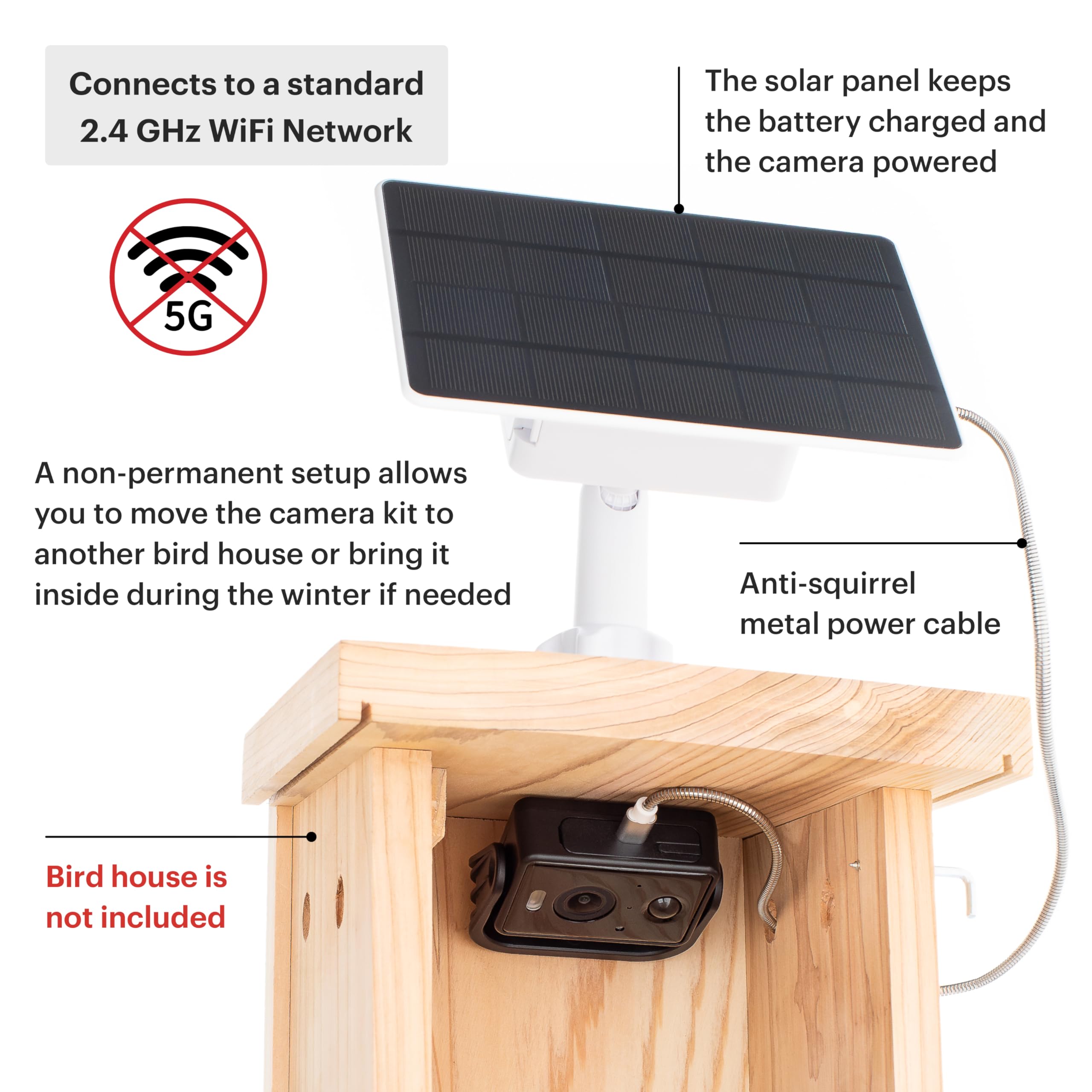 Snapklik.com : WHITEHORSE Camera For Bird Houses - Wireless And Solar ...