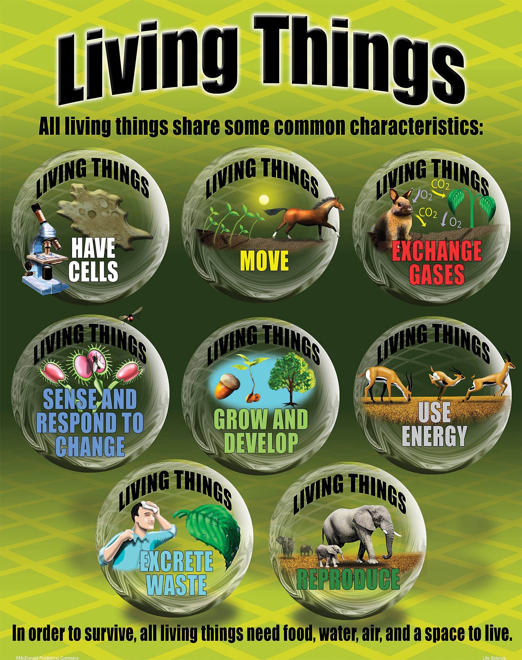 Snapklik.com : McDonald Publishing Life Science Poster Set