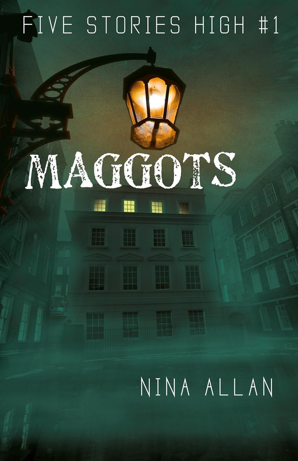 Amazon.com: Maggots (Five Stories High Book 1) eBook : Allan, Nina: Books