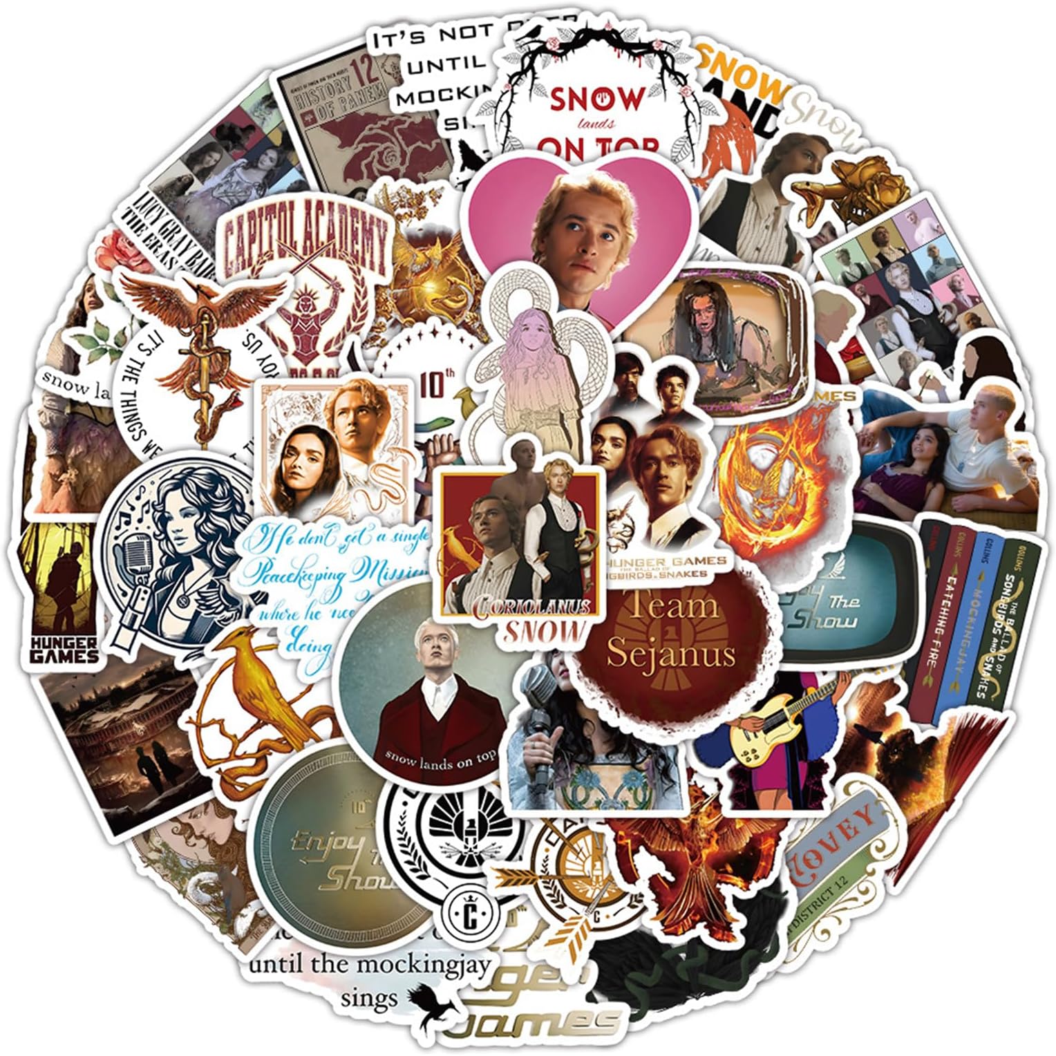 Amazon.com: 20 PCS Stickers Pack The Aesthetic Hunger Vinyl Games ...