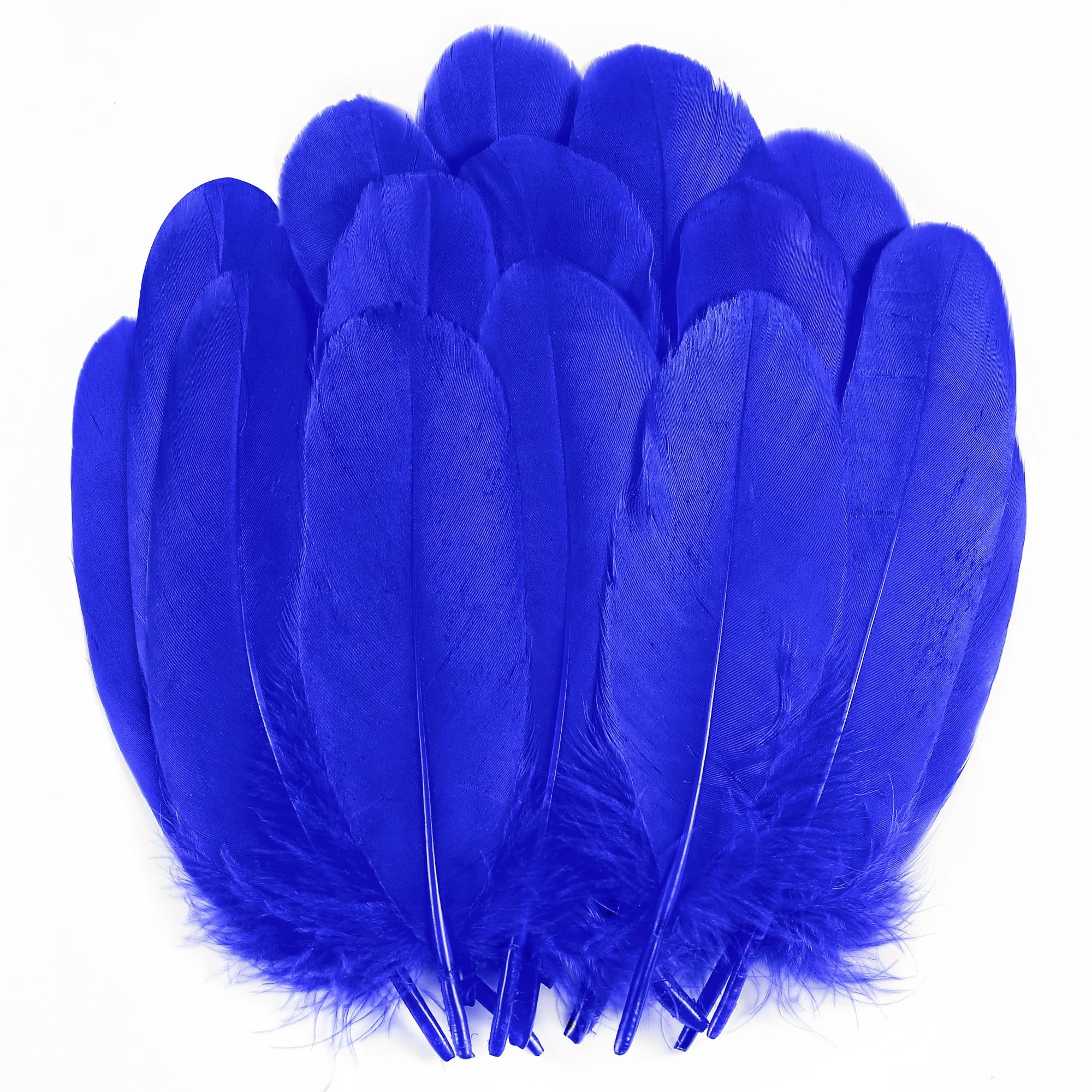 Amazon.com: Holmgren Royal Blue Goose Feathers - 200pcs 5-6inch Natural ...