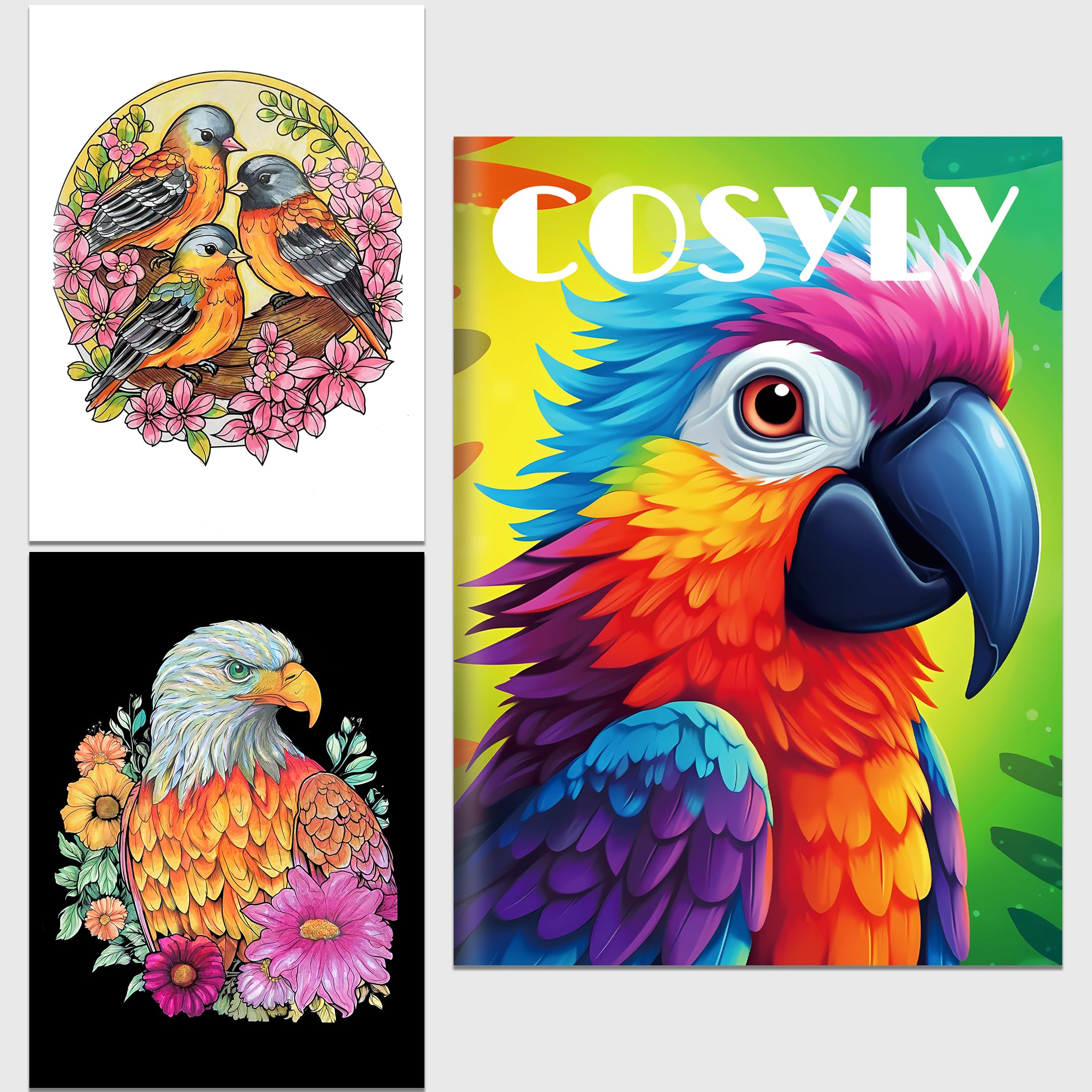 Amazon.com: Set of 2 Coloring Book - Tree of Life & Birds Creative ...