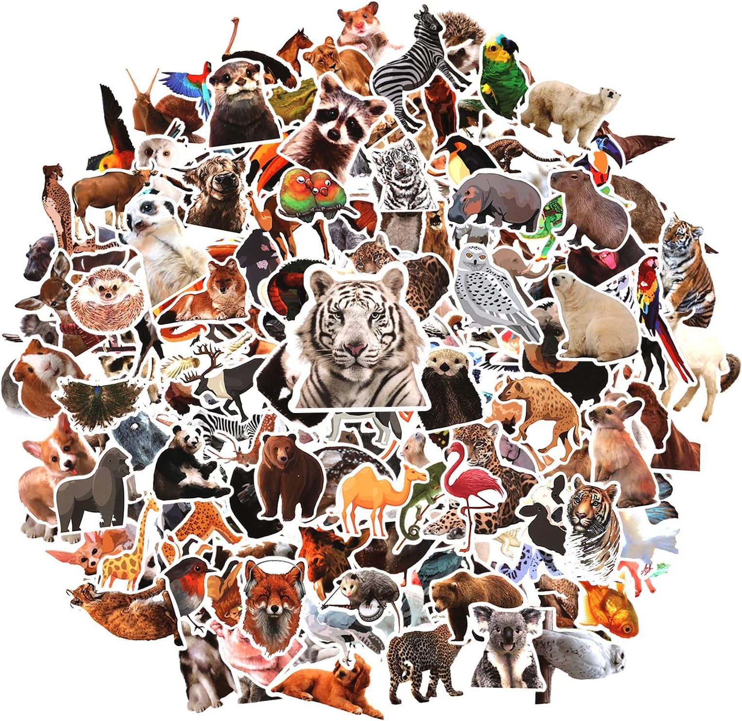 50 Pcs Animal Stickers for Kids - Cute Waterproof Wildlife Assorted Zoo ...