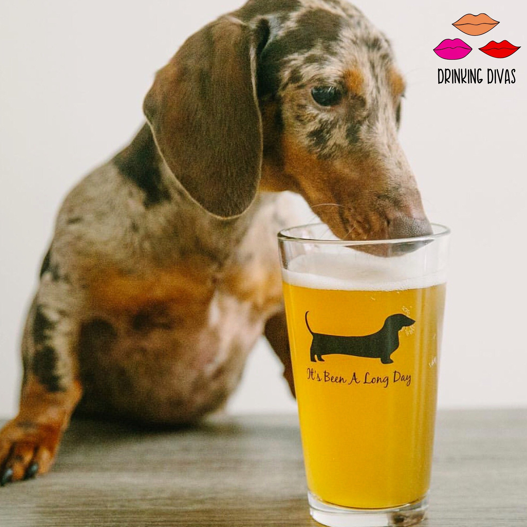 Drunk Weiner Dogs