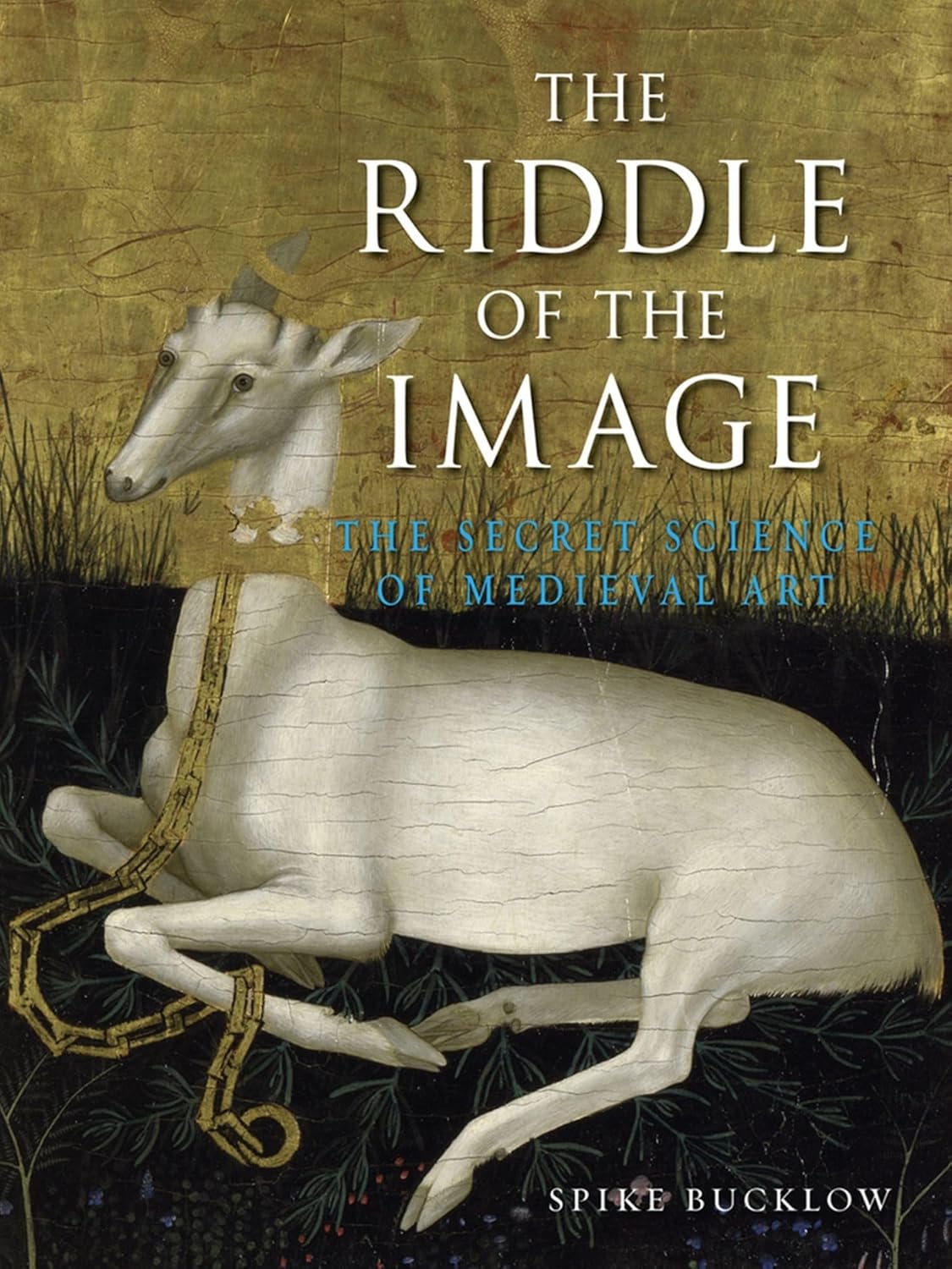 The Riddle of the Image: The Secret Science of Medieval Art: Amazon.co ...