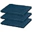 Spotzero by Milton Scrub (10 x 7.5 x 1 cm, Blue) - Pack of 1 : Amazon ...