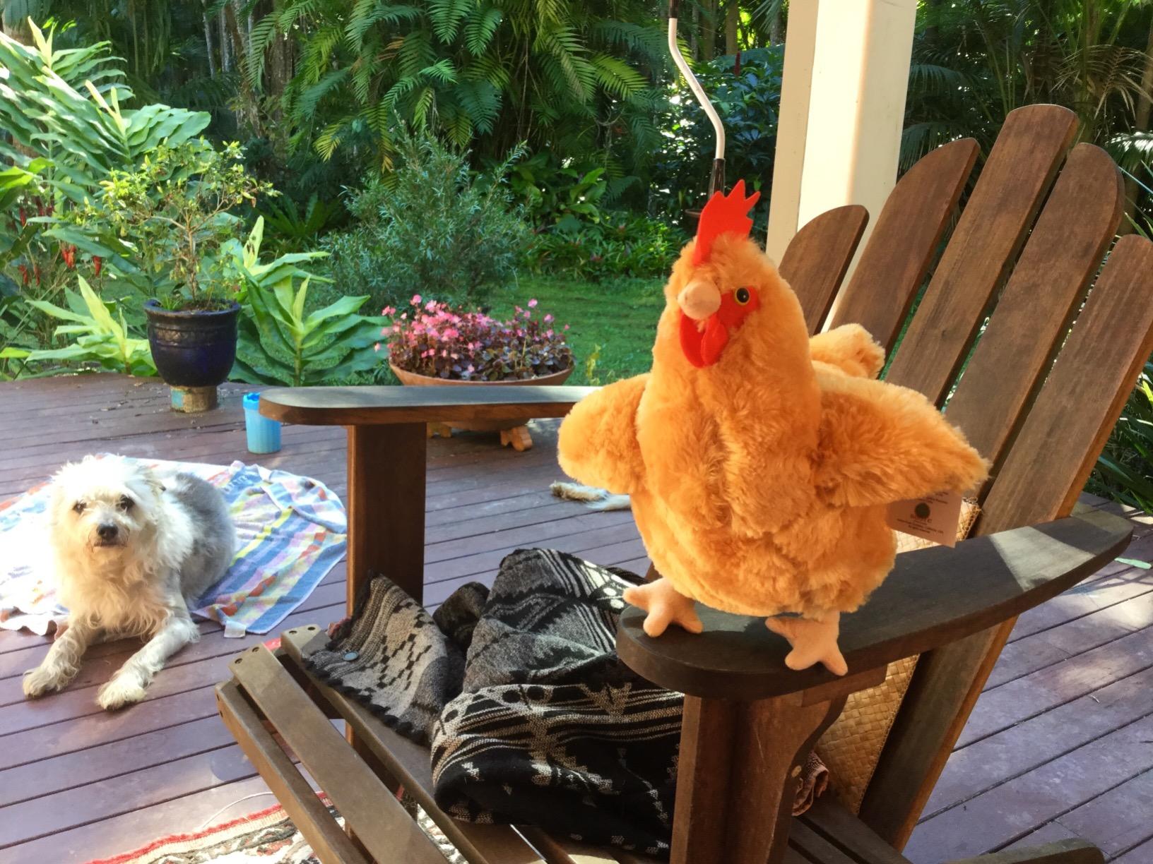 Adore 12" Standing Buffy The Hen Chicken Plush Stuffed Animal Toy ...