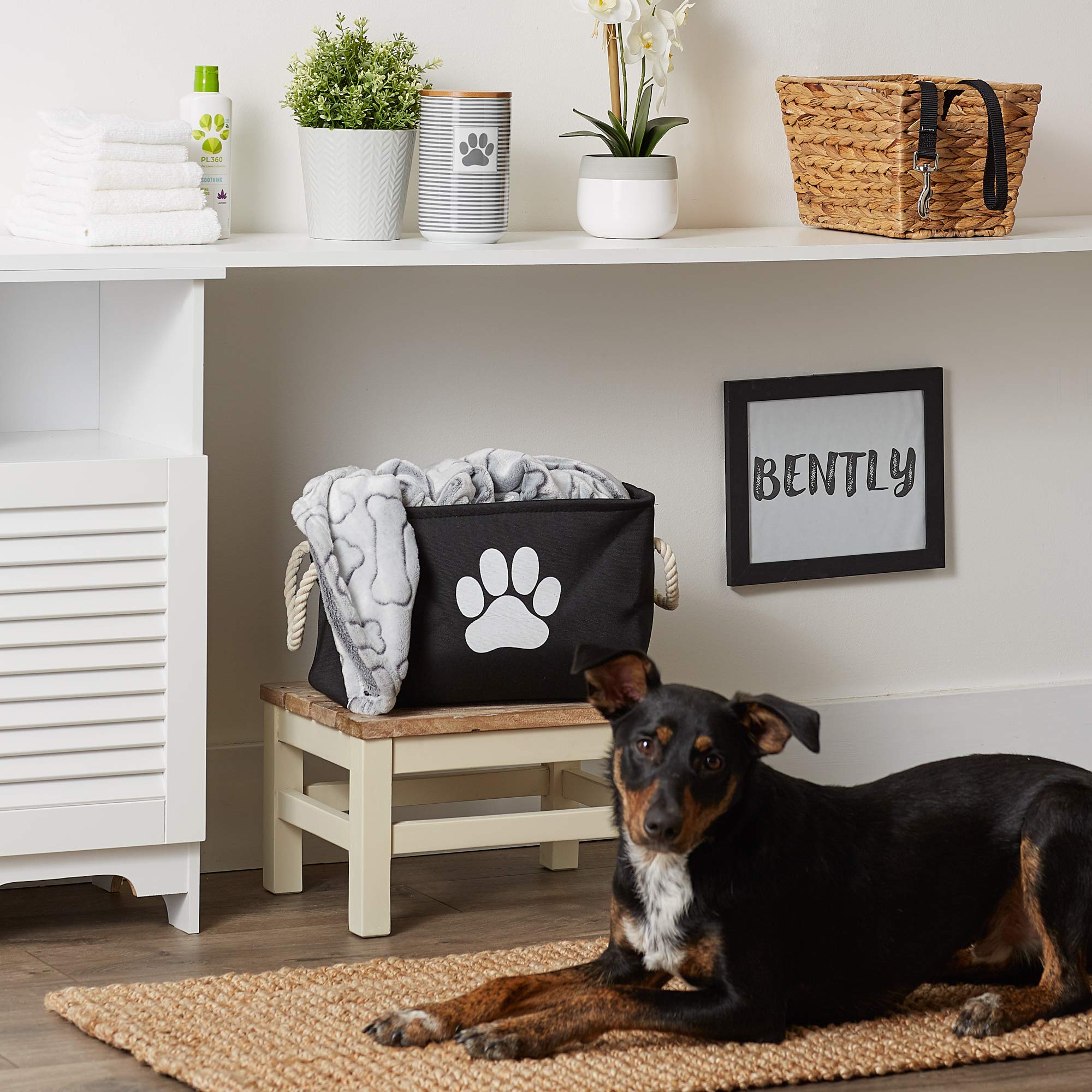 Snapklik.com : Bone Dry Pet Storage Collection Collapsible Bin
