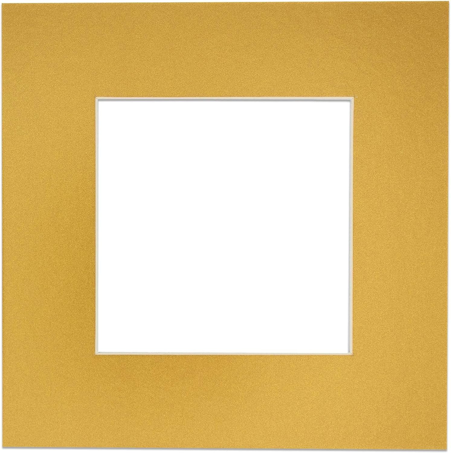 Amazon.com: 11x14 Mat for 8x10 Photo - Precut Metallic Gold Picture ...