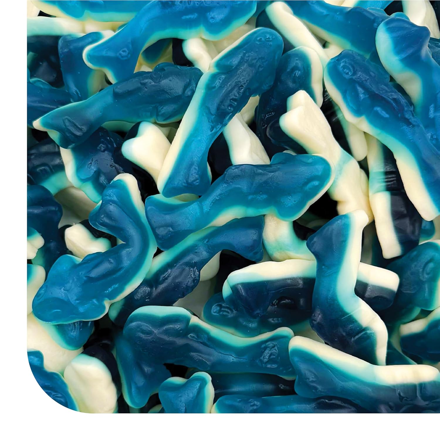 Amazon.com : Blue Sharks Gummy Candy - 2 Pound Bulk Bag of Blue ...