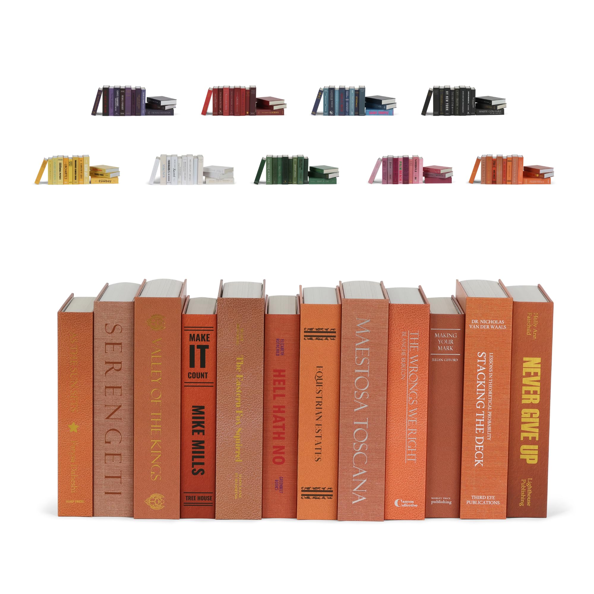 Amazon.com: colorbloc 12 Decorative Faux Books, Fake Books for ...